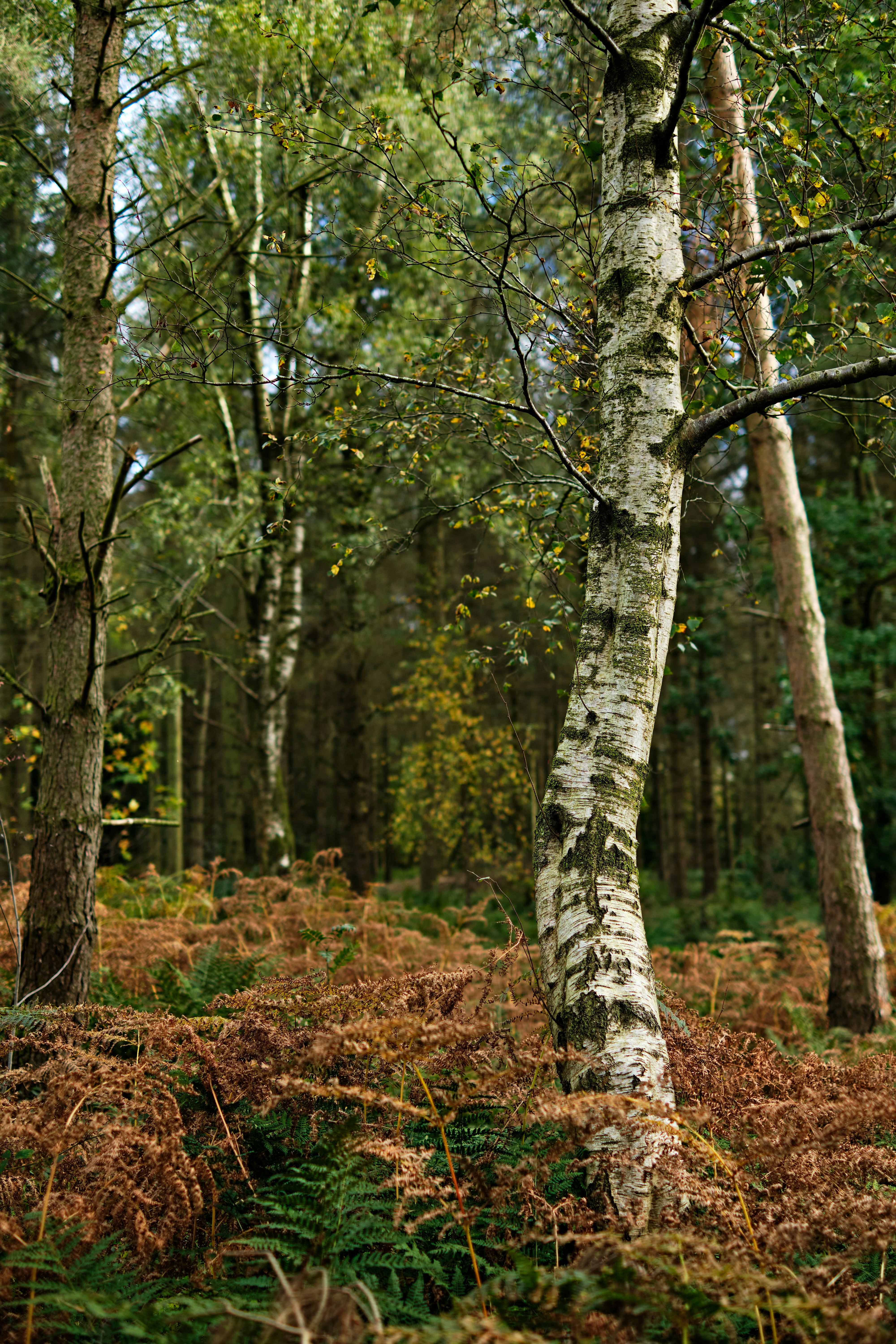 Photo by Rodion Kutsaiev with Fujifilm X-T2