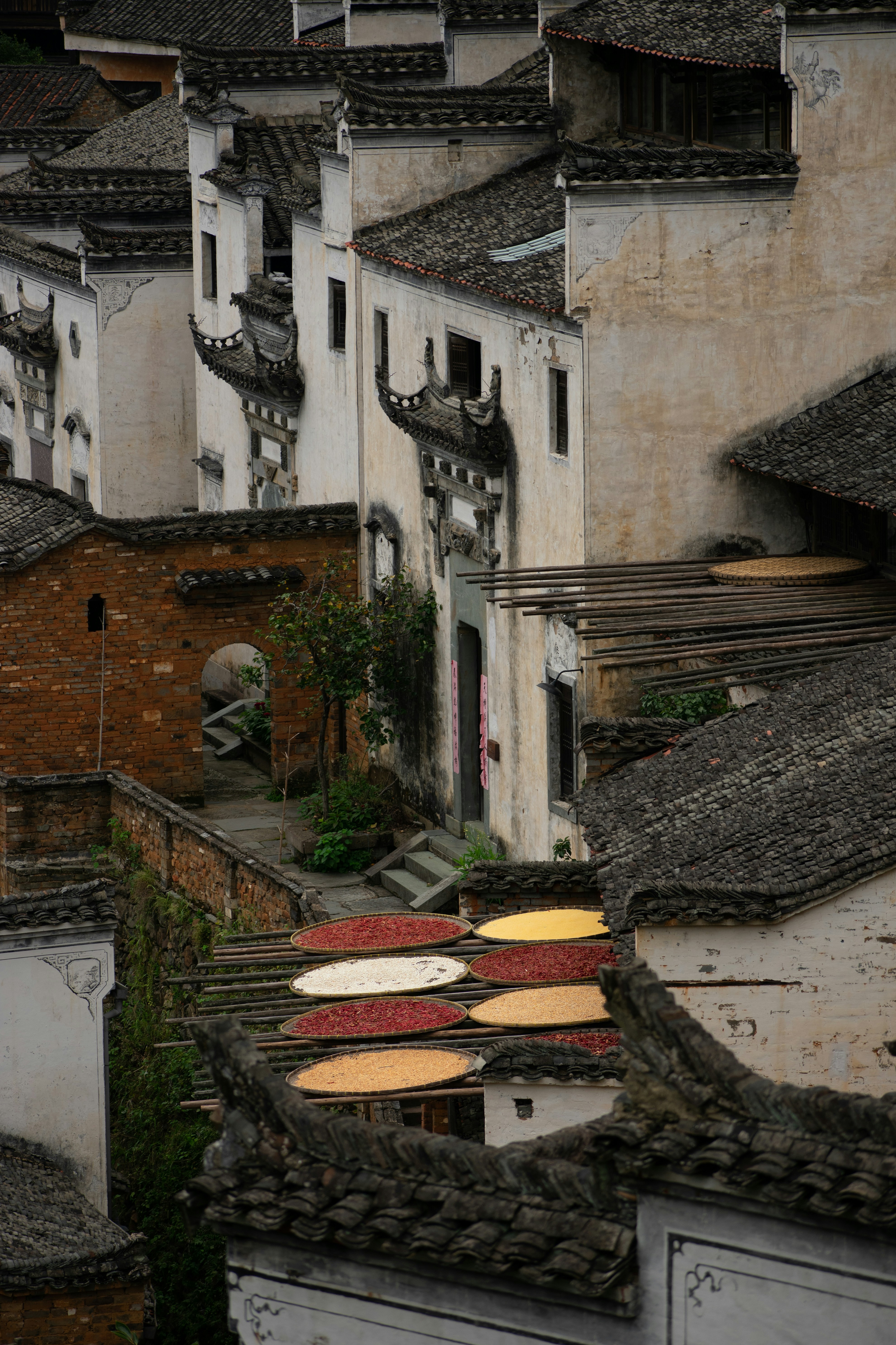 Sun-Baked Circles Crown a White-Walled Village Roofscape