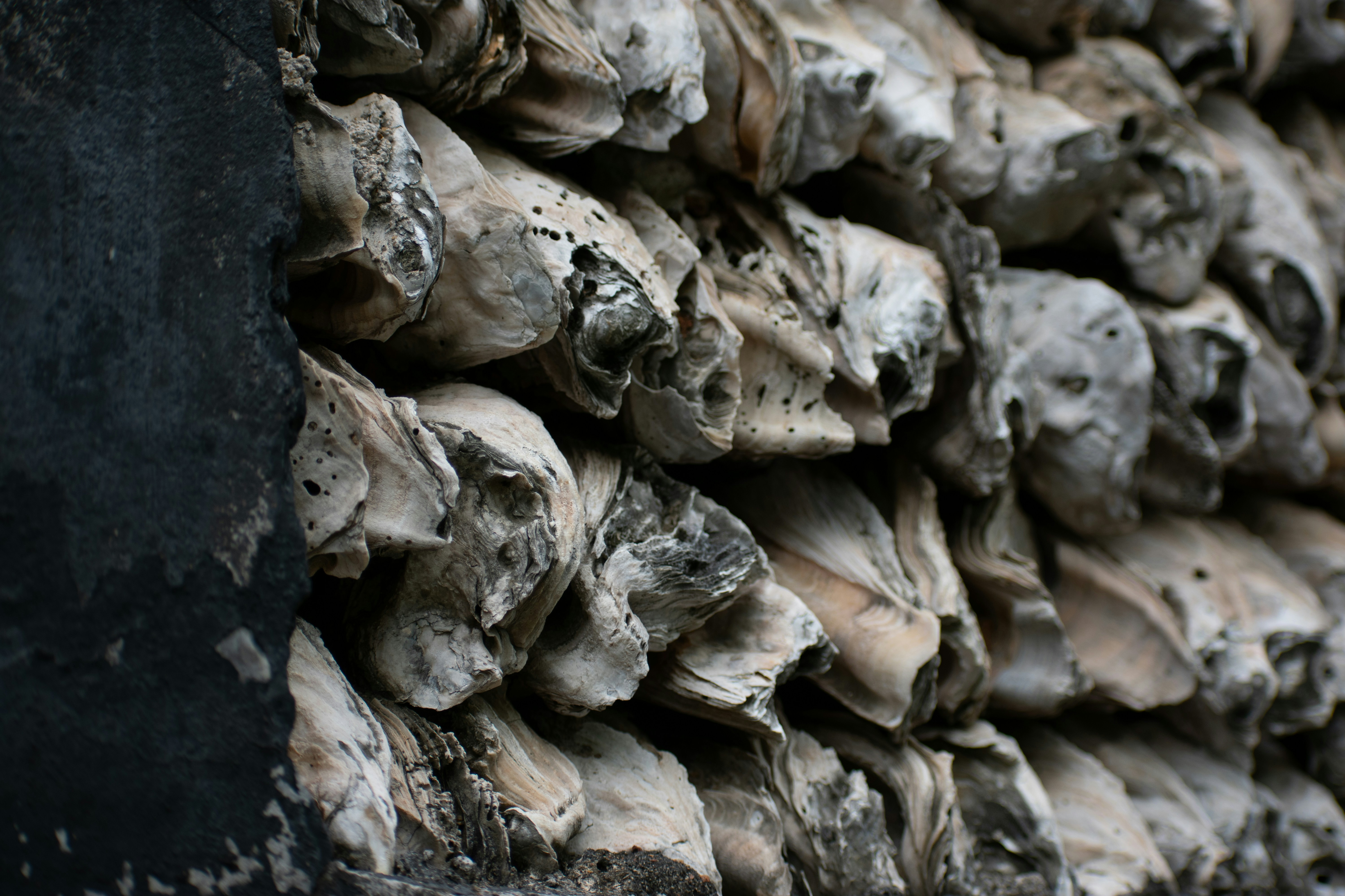 A bunch of skulls stacked on top of each other photo – Free China Image ...