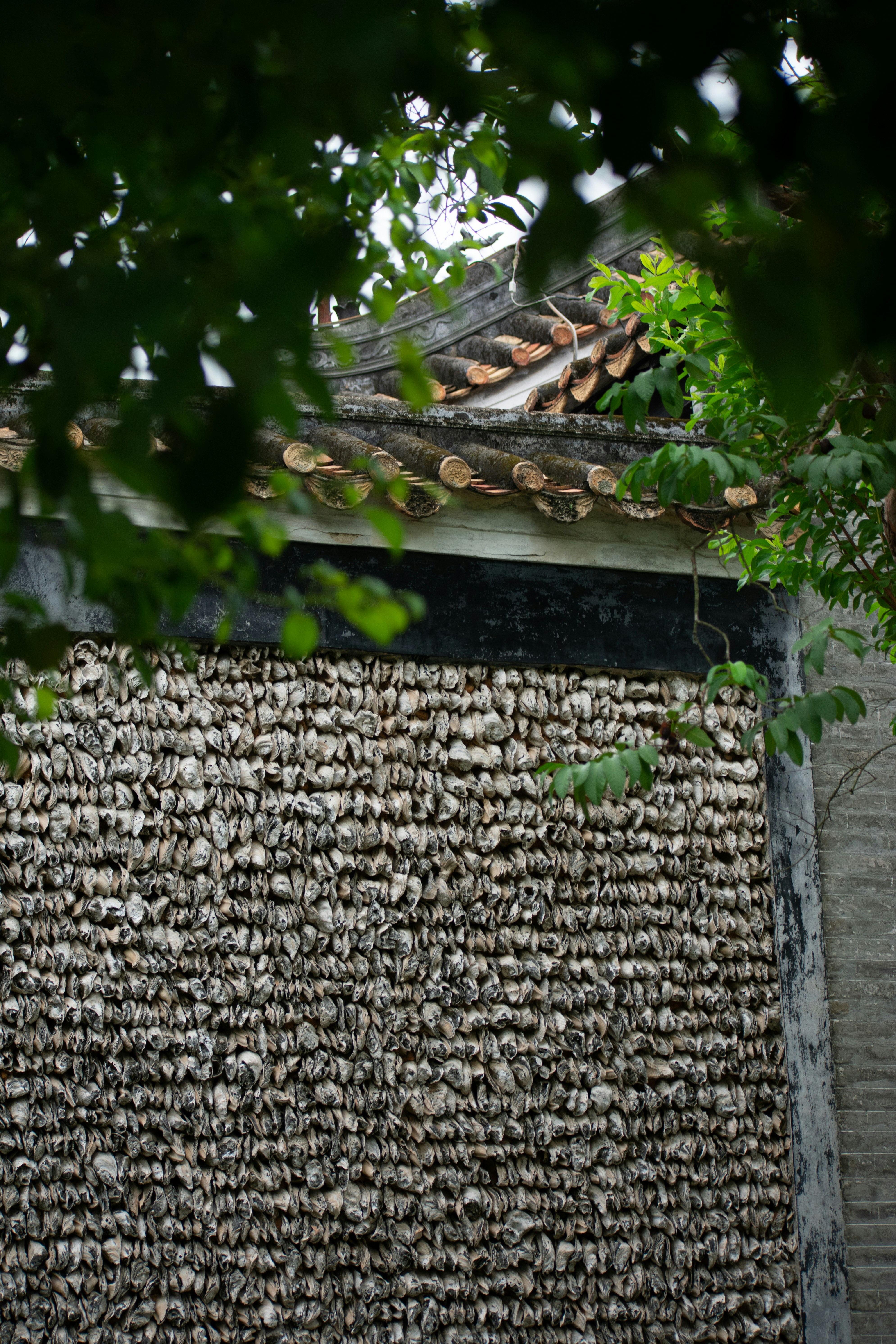 Photo by Lin Qiu Yi Wan with Nikon D3400