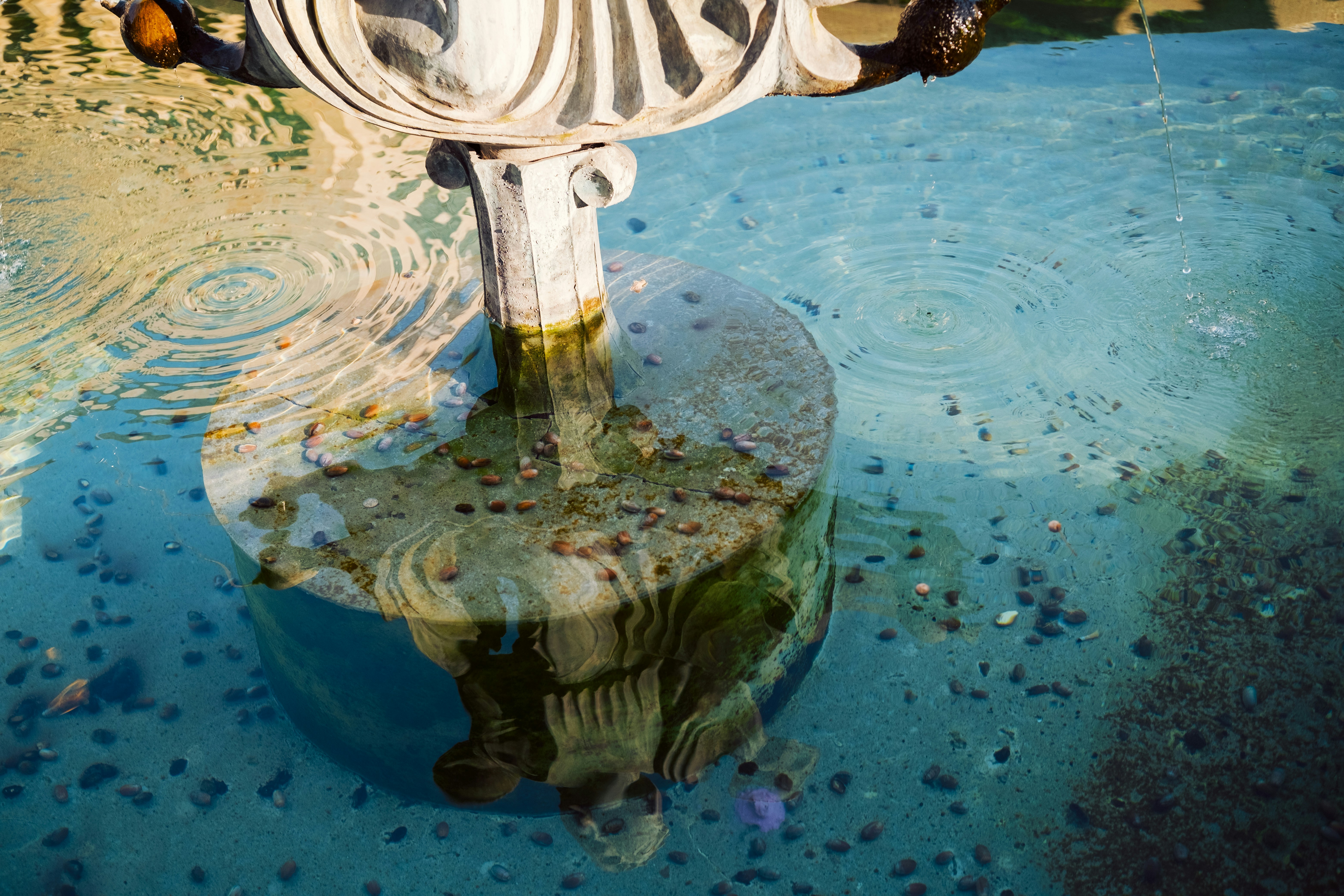 A fire hydrant sitting in the middle of a pool of water photo – Free ...