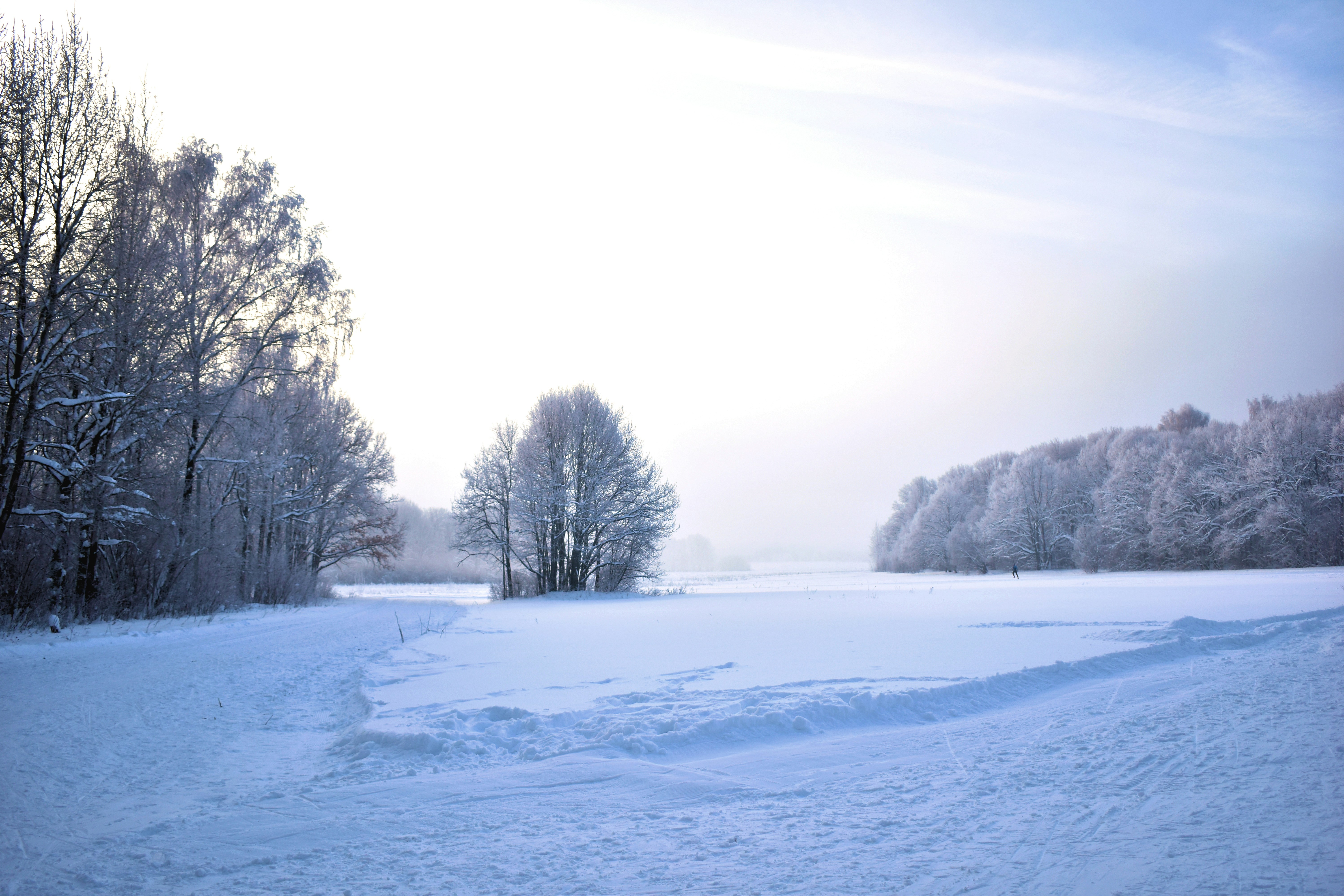 Snow-covered landscape with frost-laden trees under a soft, pale blue sky.