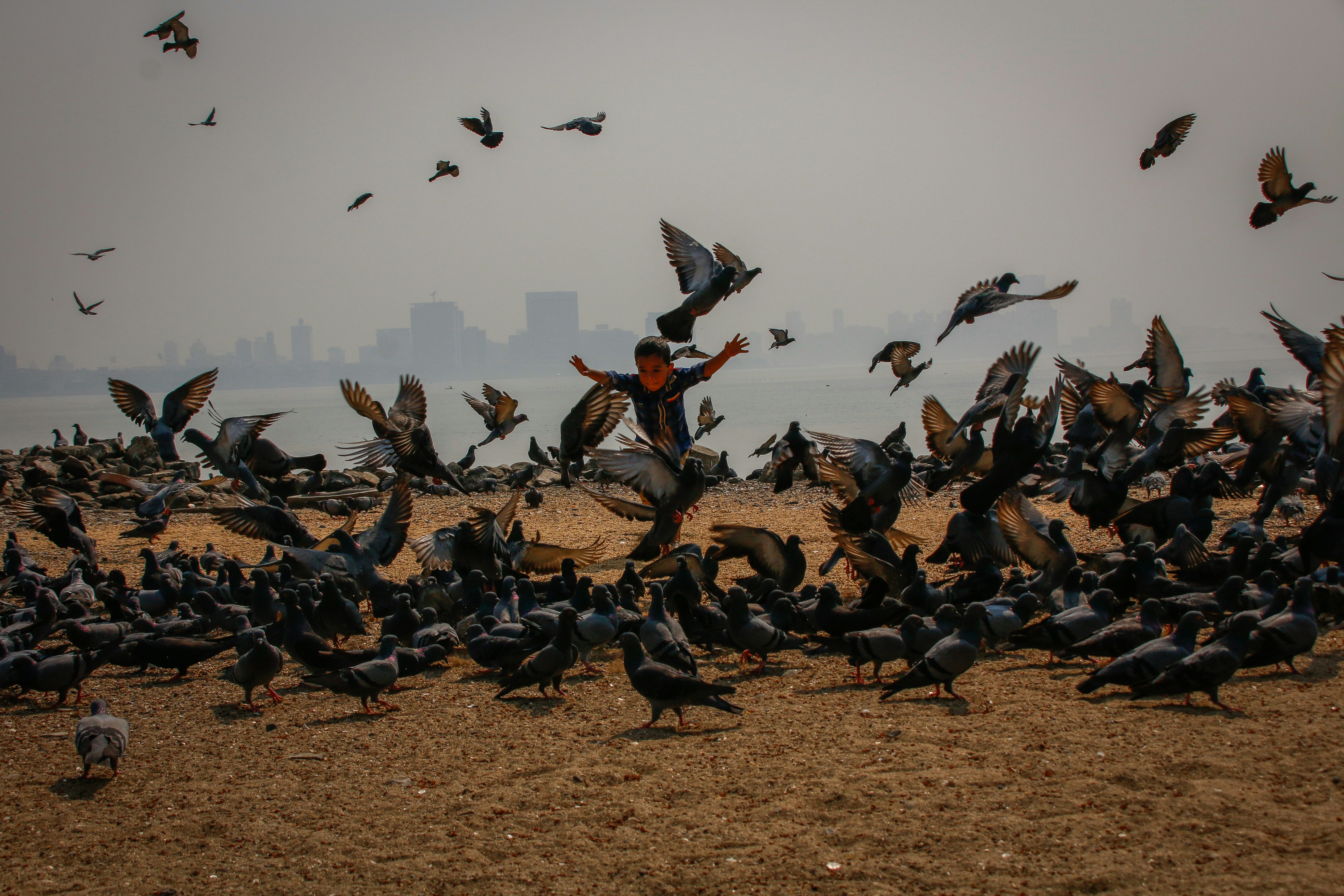 Orange Beacon Amid a Flock: City Silhouette on the Horizon