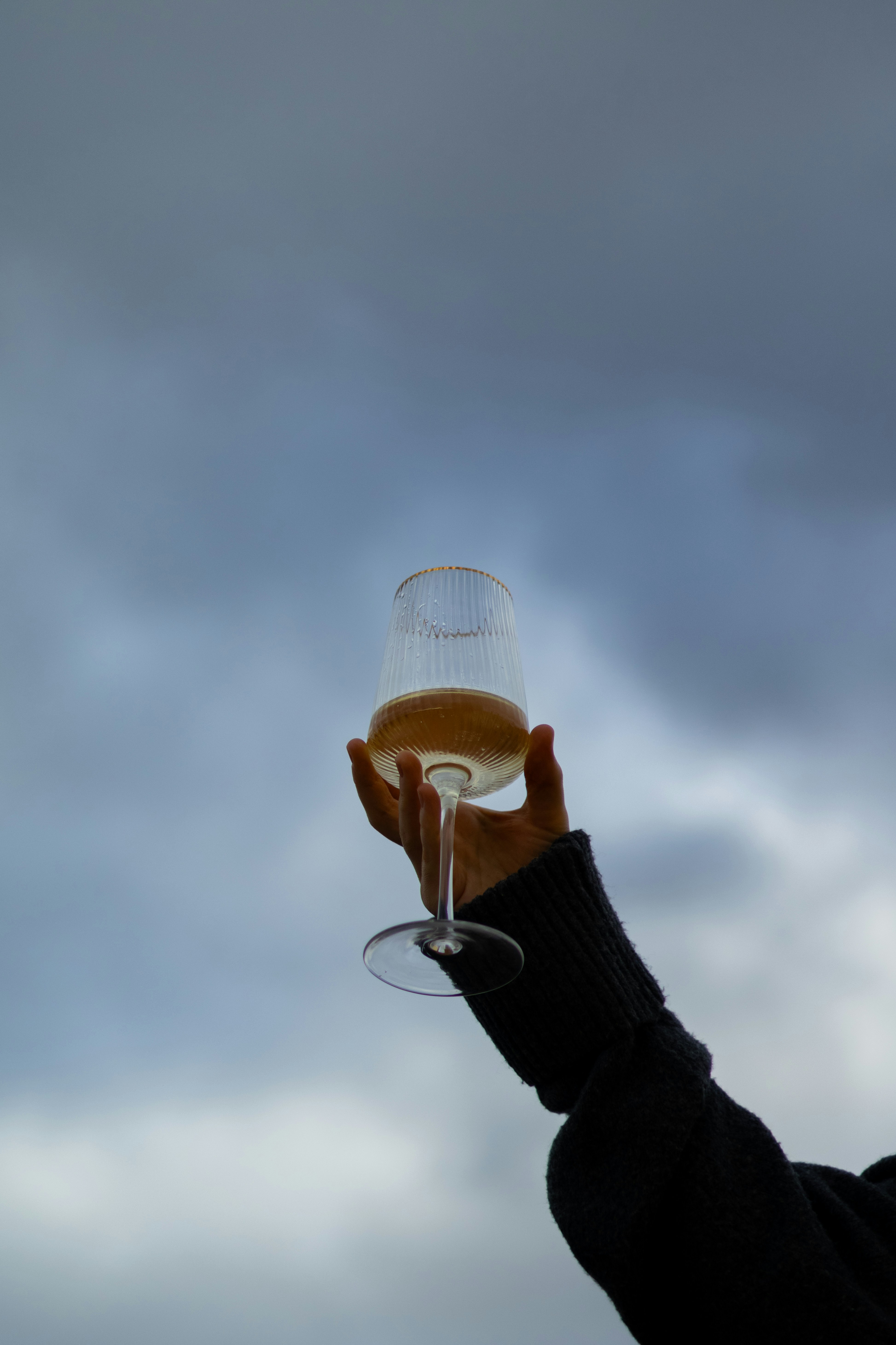 Wine glass is raised by a gloved hand against a moody blue sky. A quiet toast outdoors emphasizes the glass's delicate shape and amber liquid.
