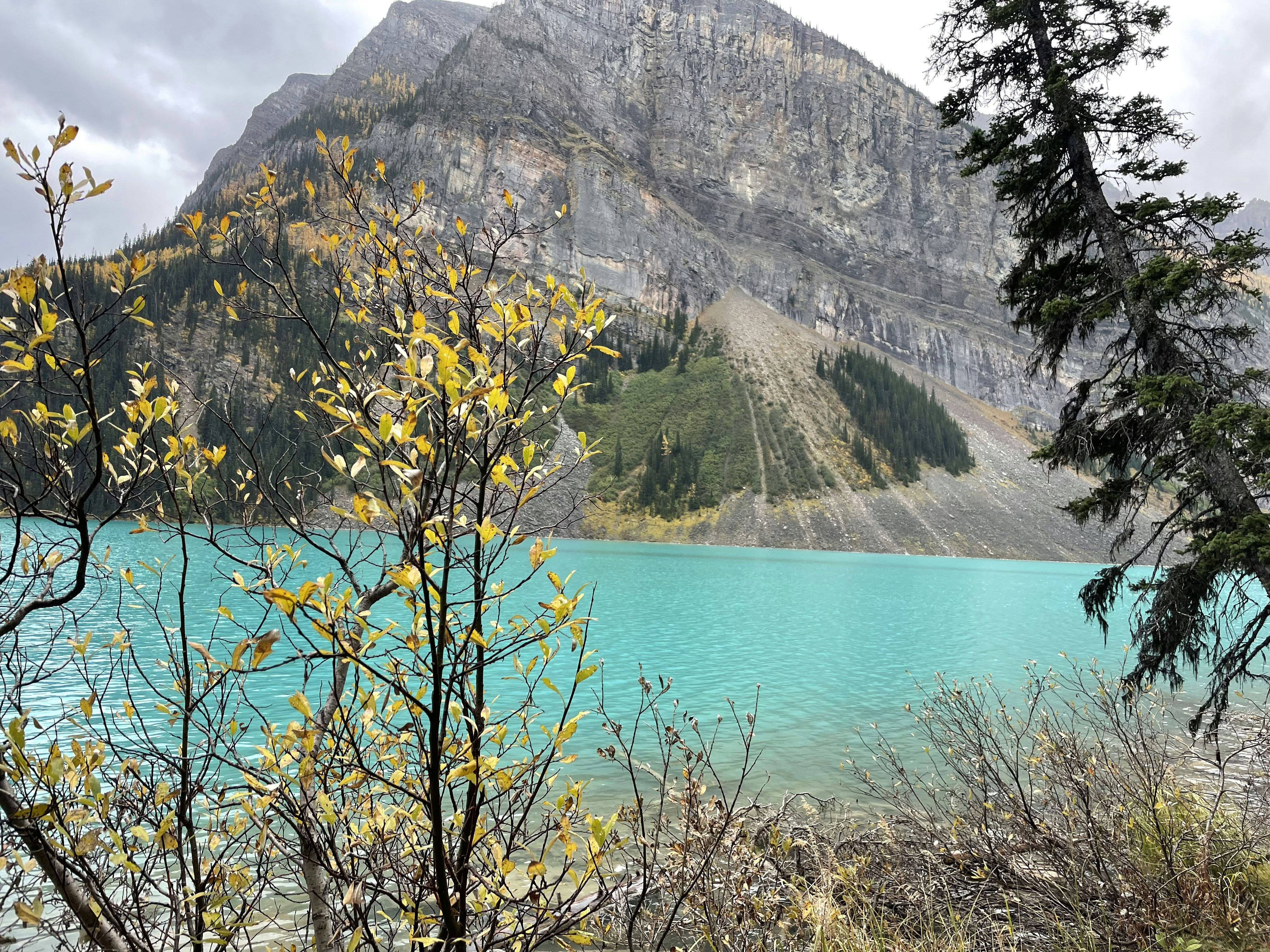 Jim Ream (@jim_ream) | Comunidade de fotos da Unsplash