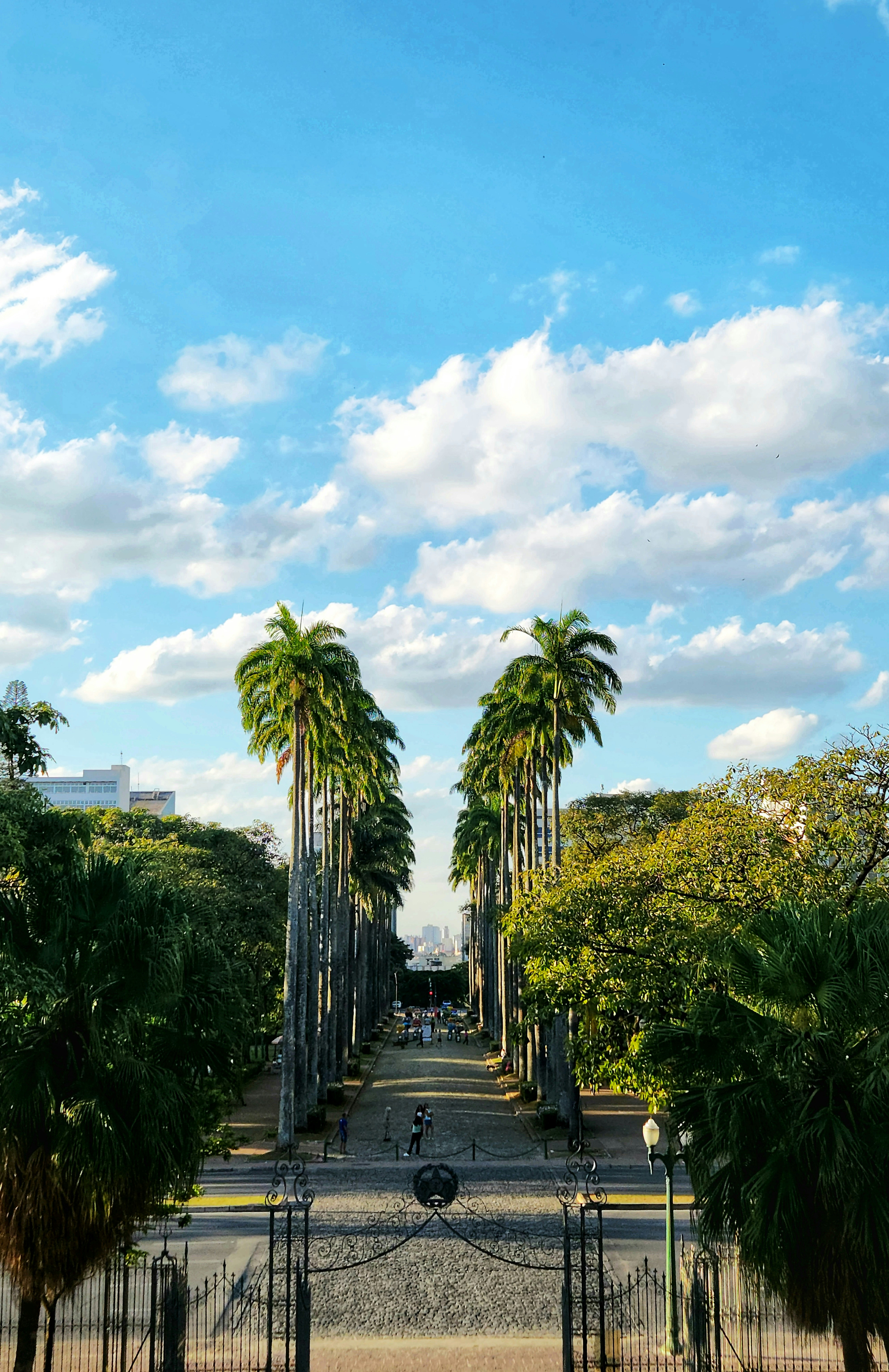 mauRÍCIO SANTOS (@souomau) | Comunidad de fotos de Unsplash