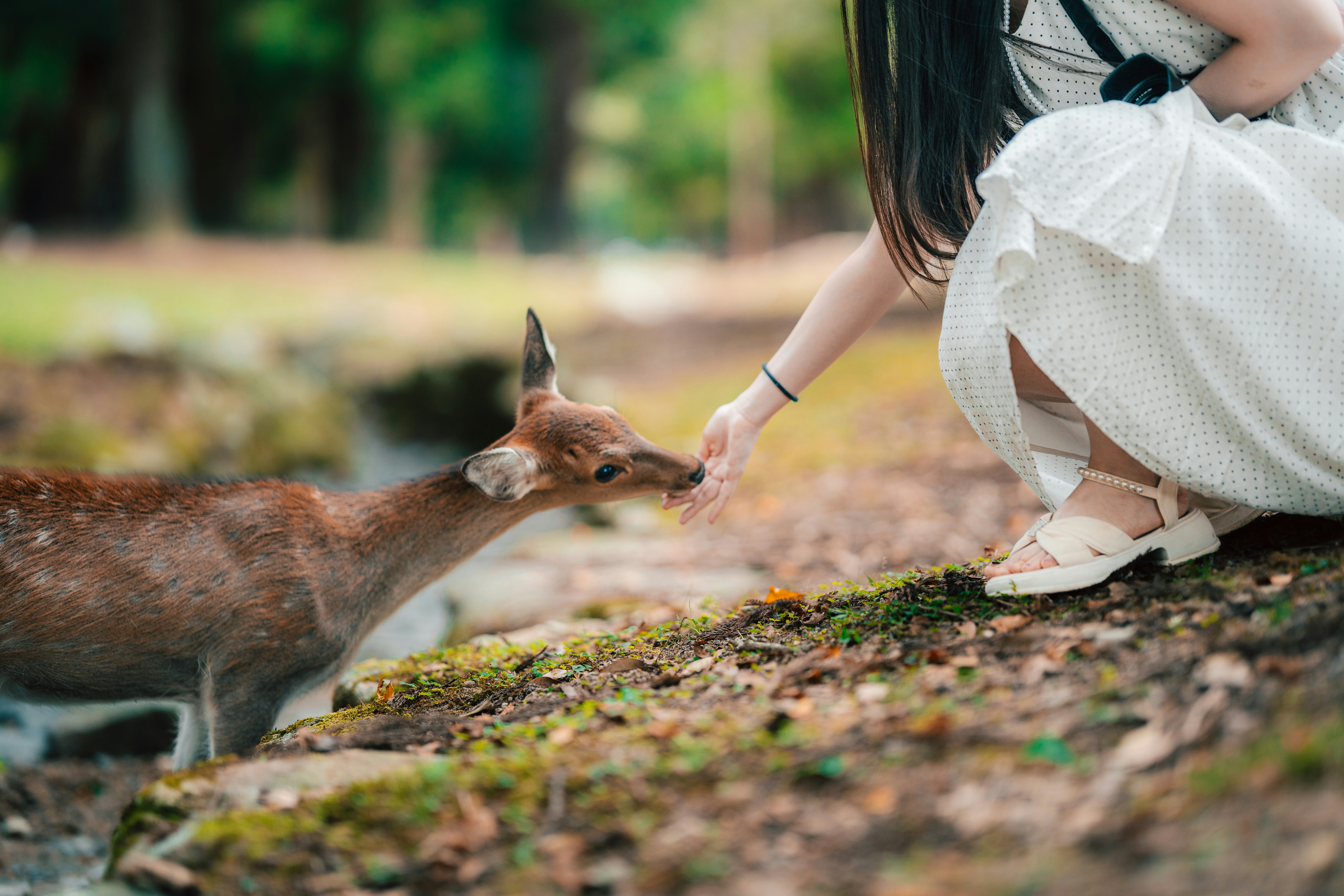 Whispering Gesture: A Quiet Moment by the Forest Edge