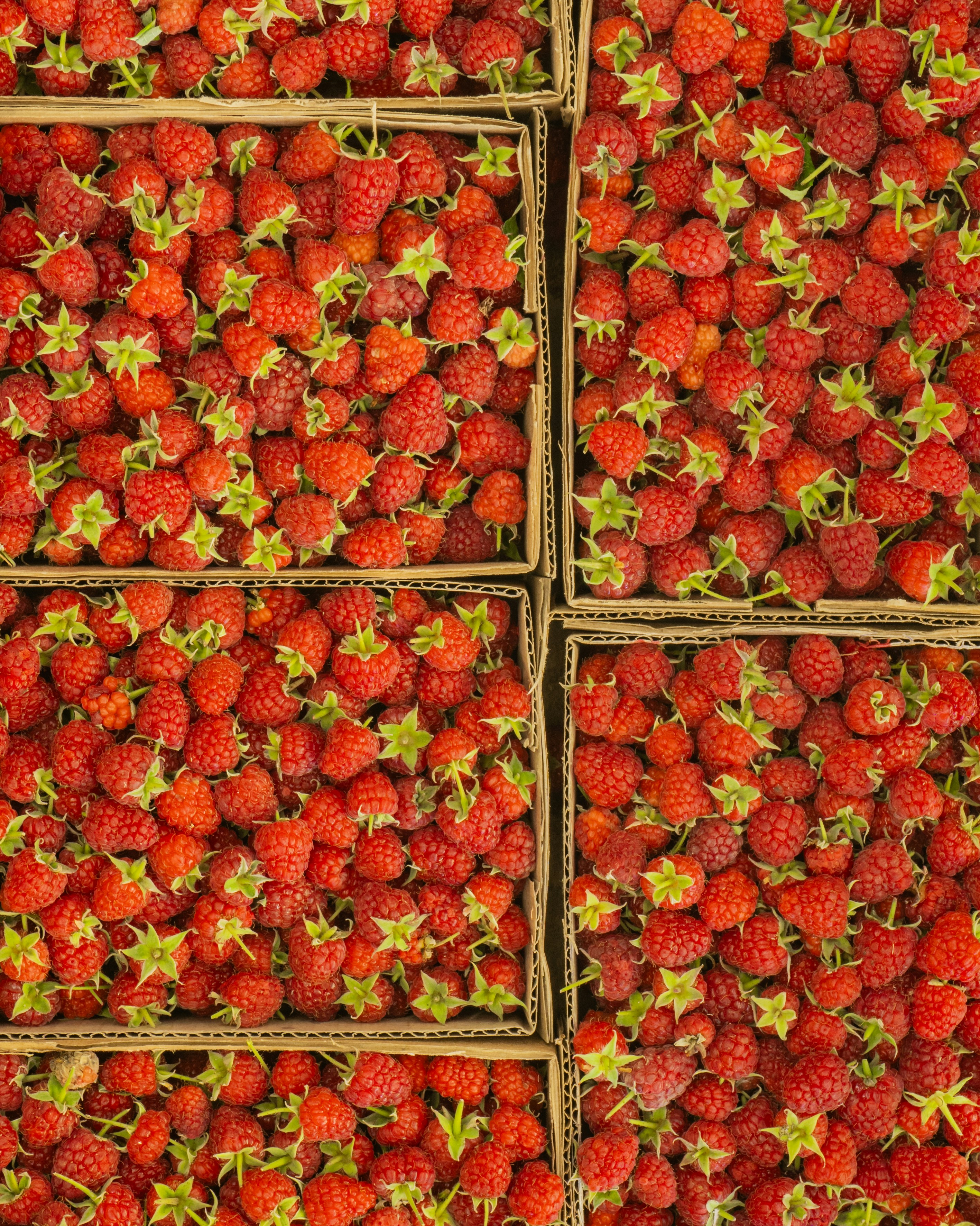 Crimson Grid: Strawberries Stacked in Cardboard Boxes
