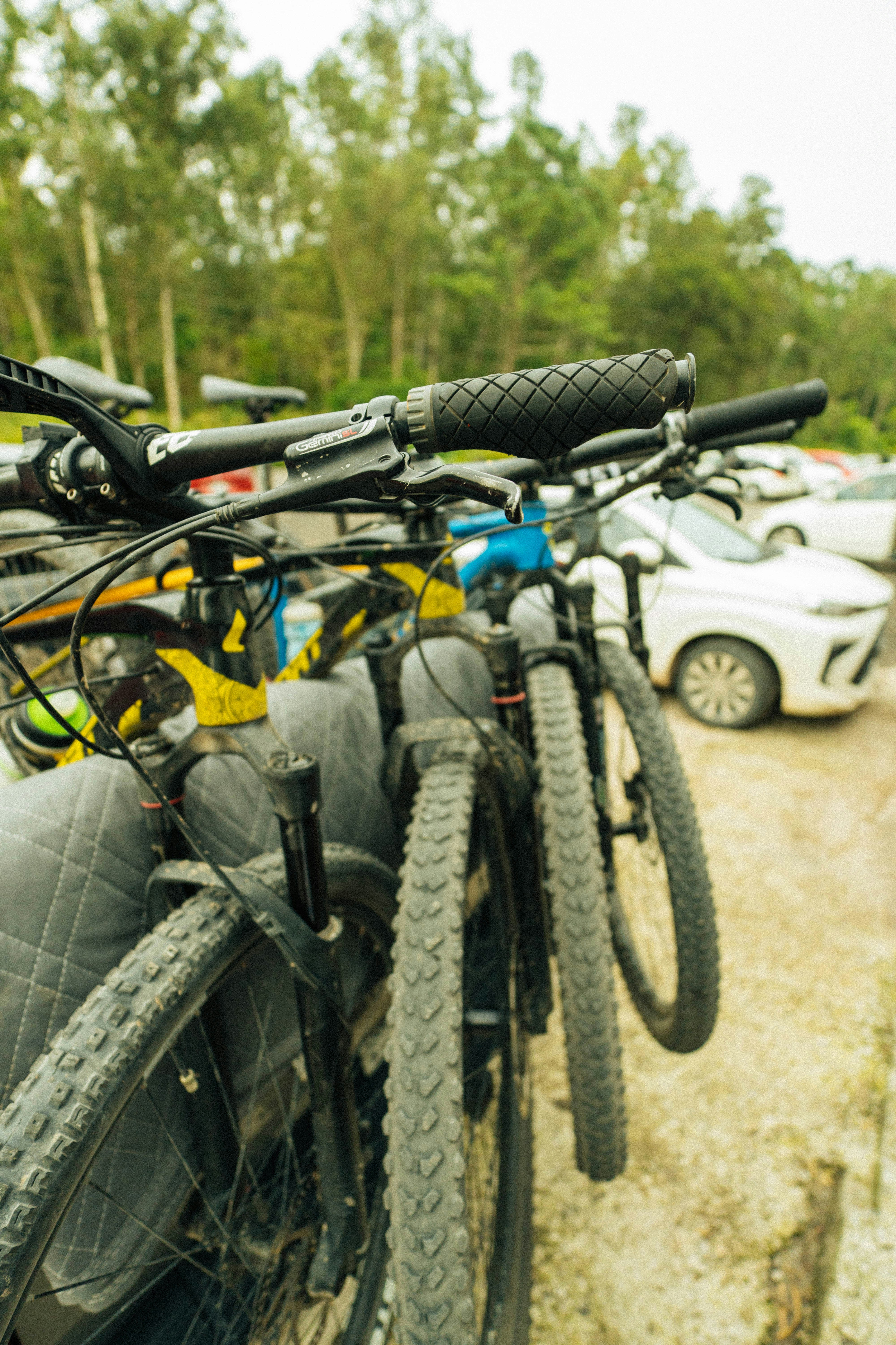 Chrome, Rubber, and Quiet Parking: A Row of Mountain Bikes