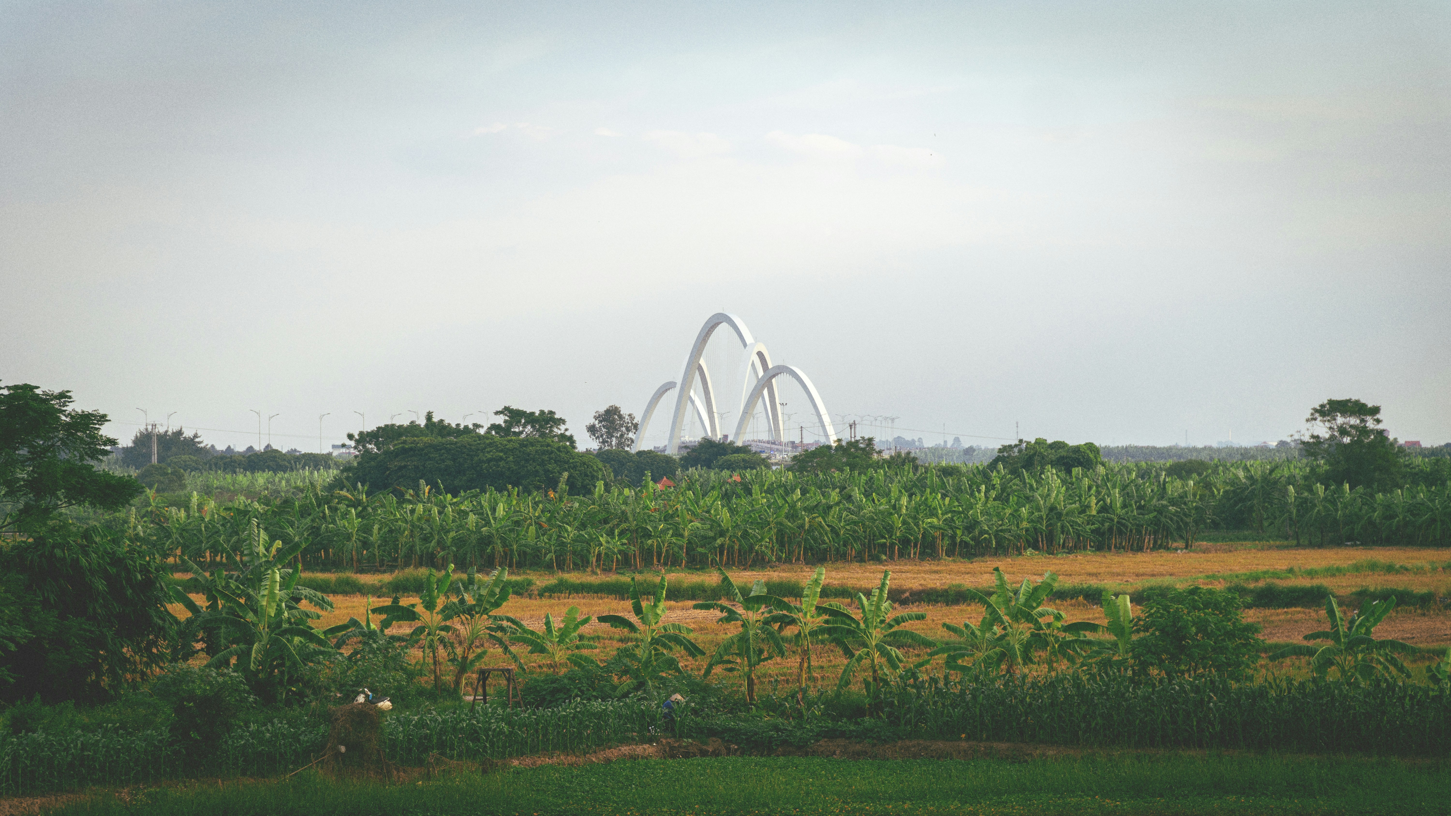 Modern bridge arches rise above lush green fields under a cloudy sky.
