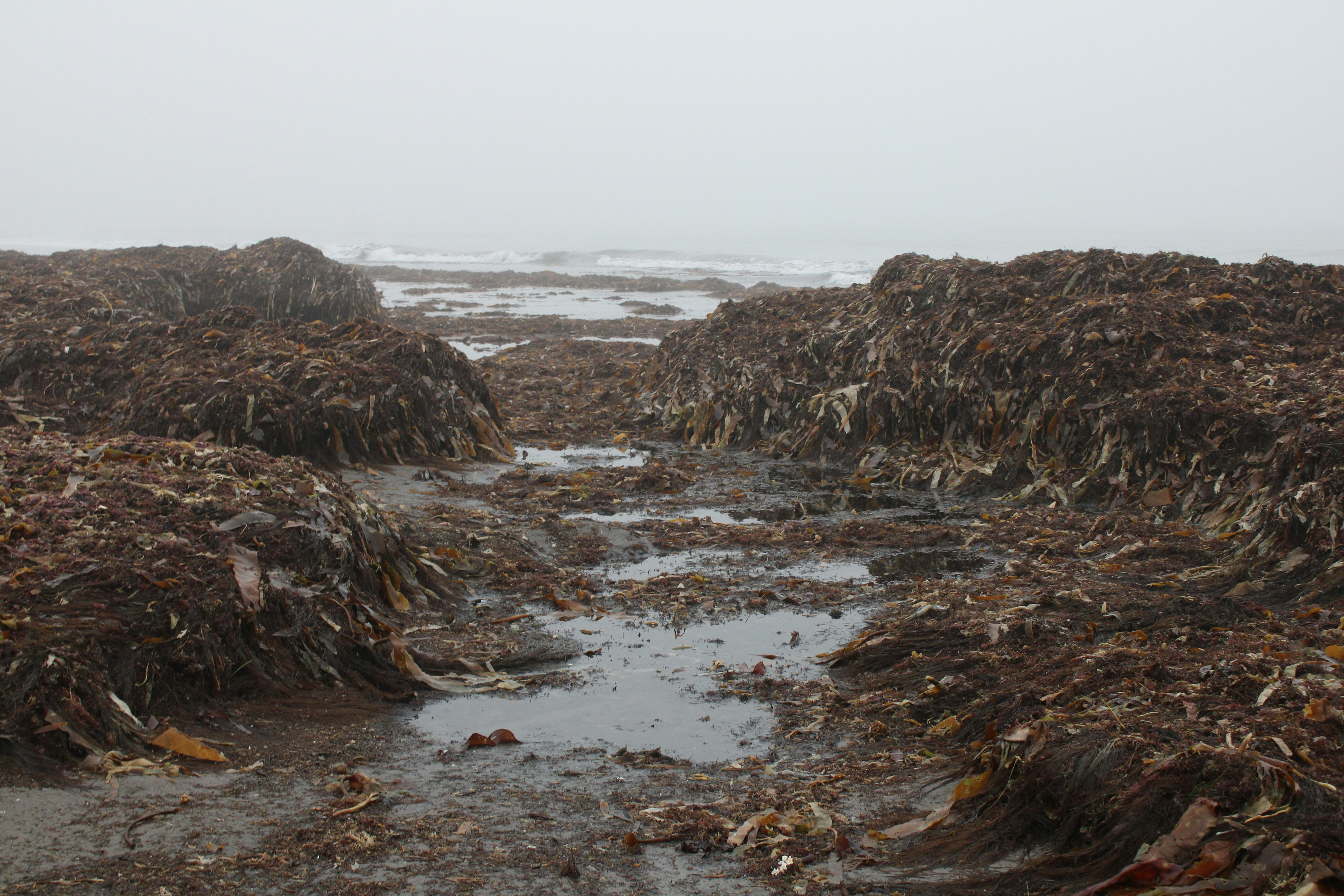 A muddy area with a puddle of water in the middle of it photo – Free ...