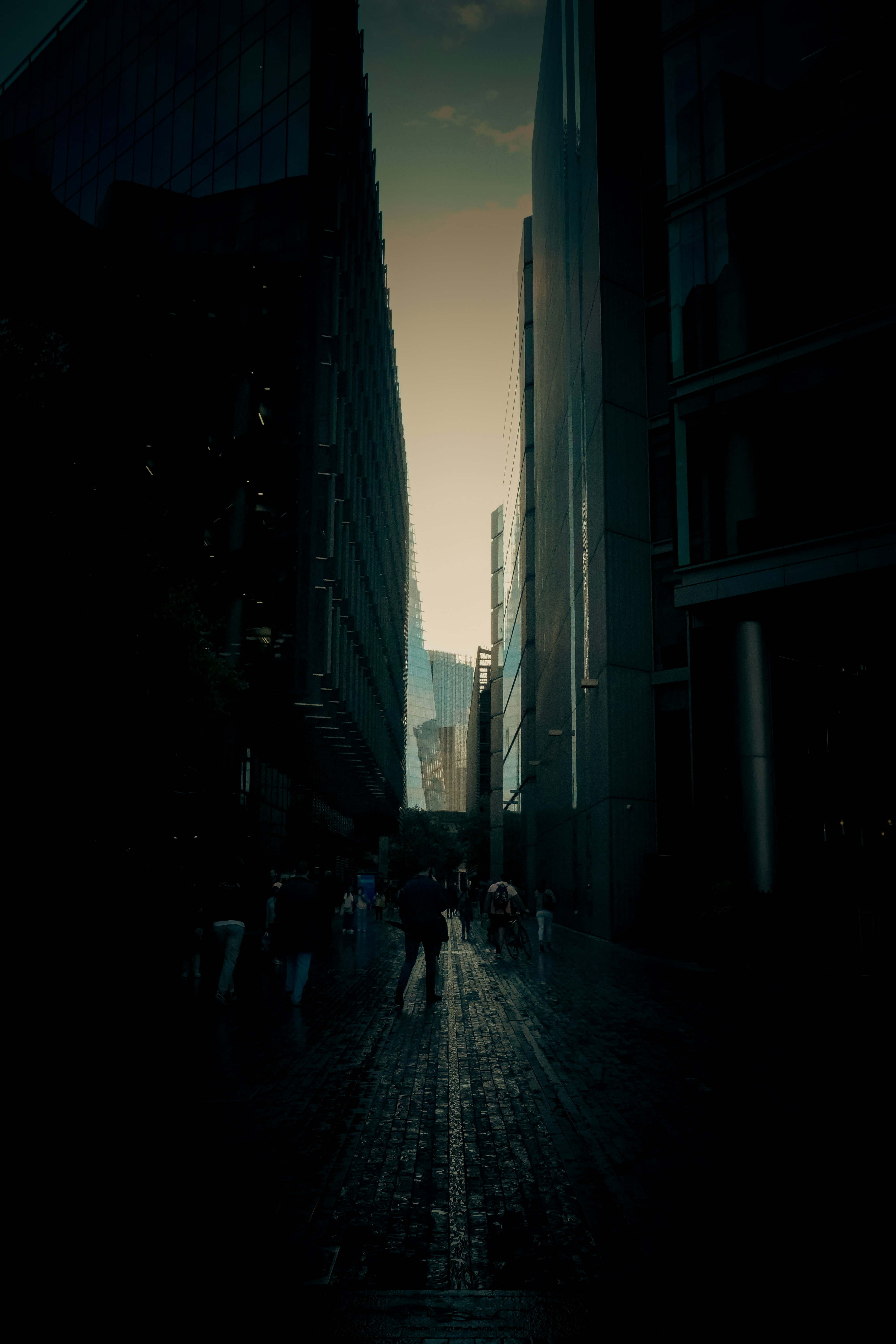 Urban Silhouettes: A Journey Through Glass and Steel