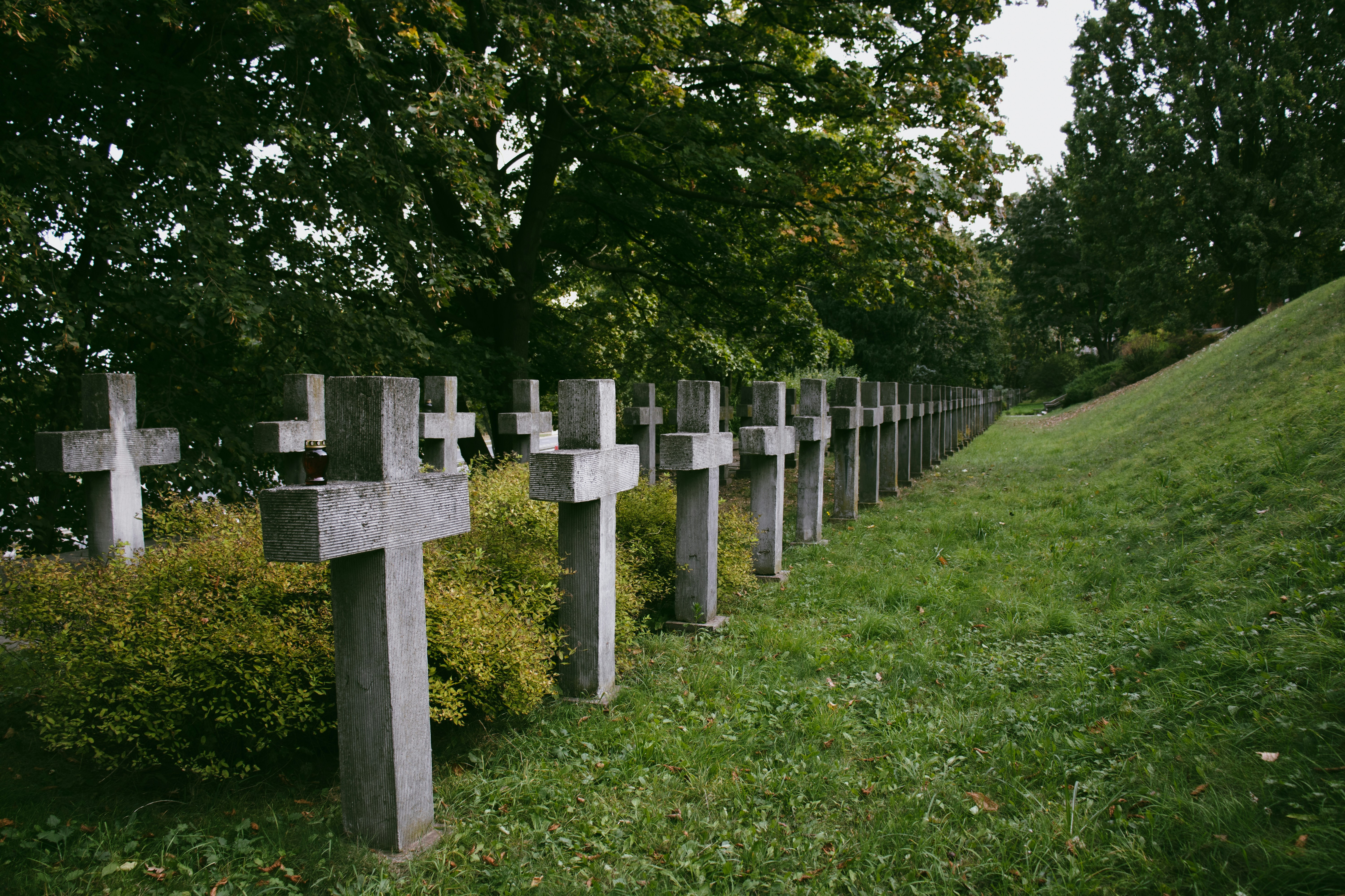 A row of crosses sitting on top of a lush green field photo – Free ...