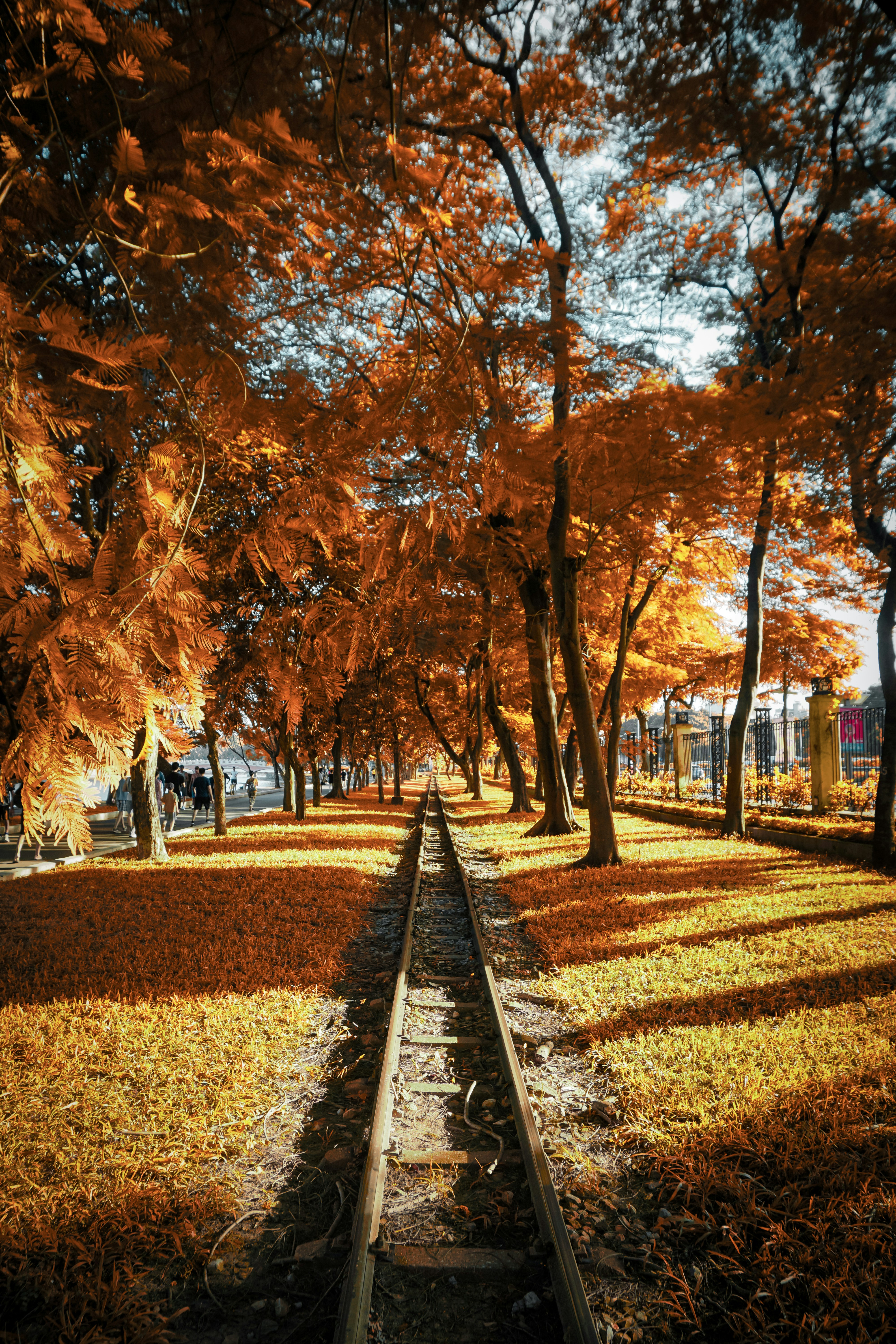 A train track running through a park filled with trees photo – Free ...
