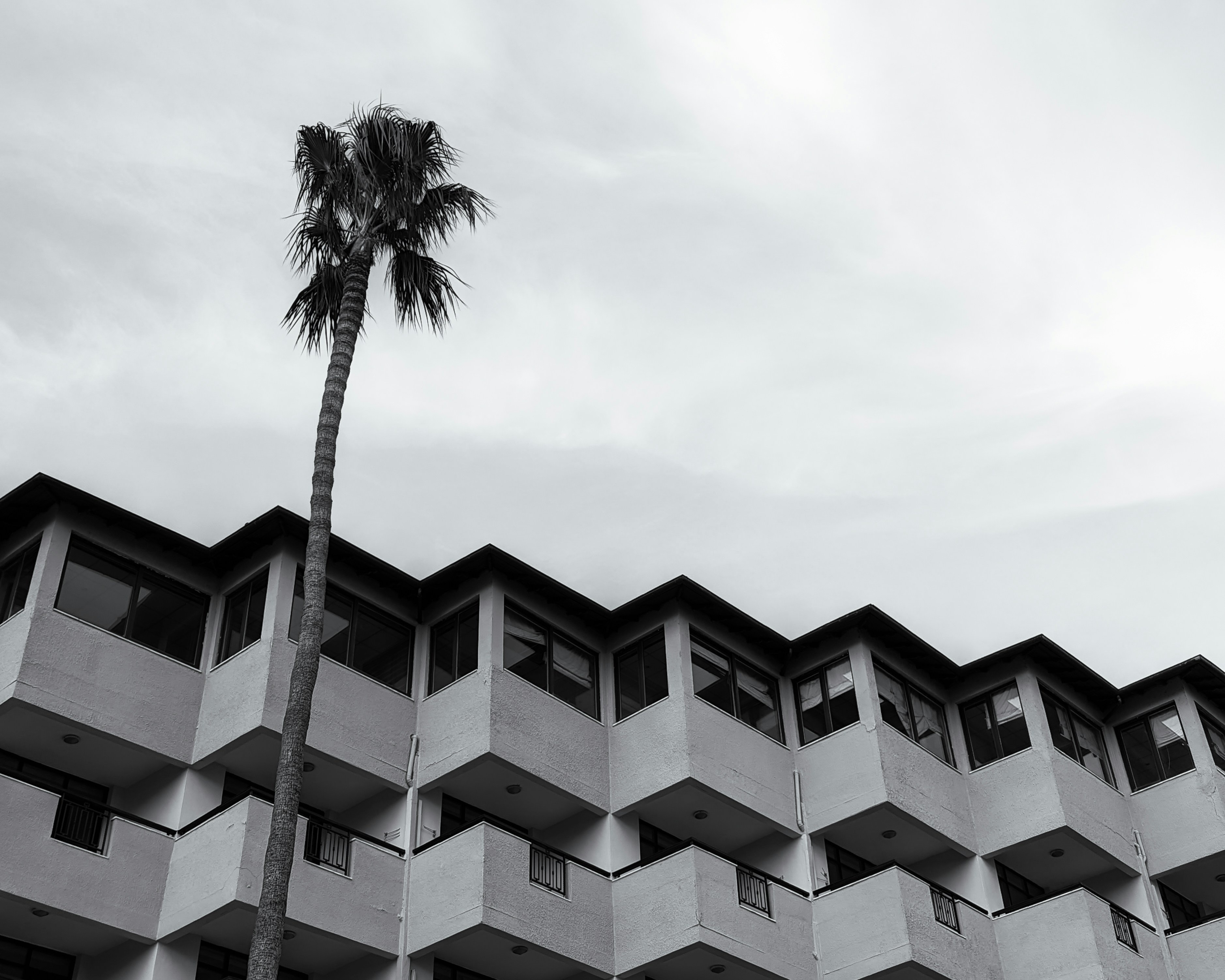 Photo by David Kuvaev with Google Pixel 7 Pro