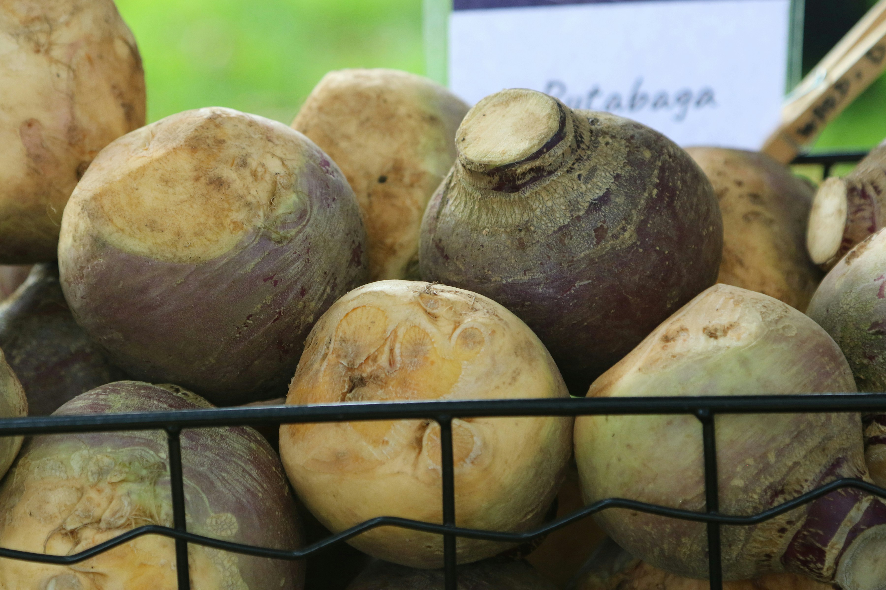 A pile of beets sitting on top of a metal basket photo – Free Franklin ...