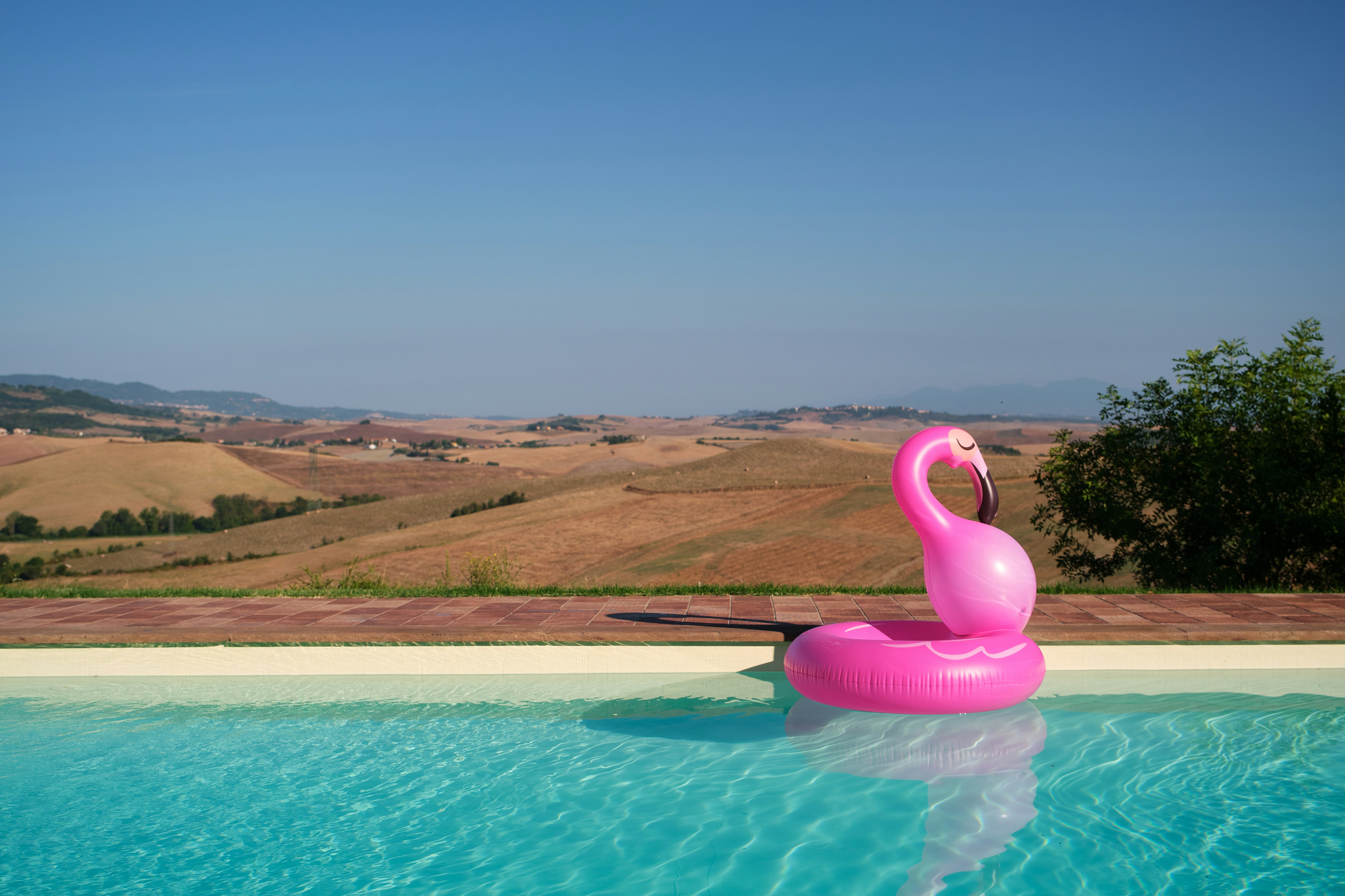 Sunkissed Poolside Flamingo Adrift Over a Quiet Countryside Vista