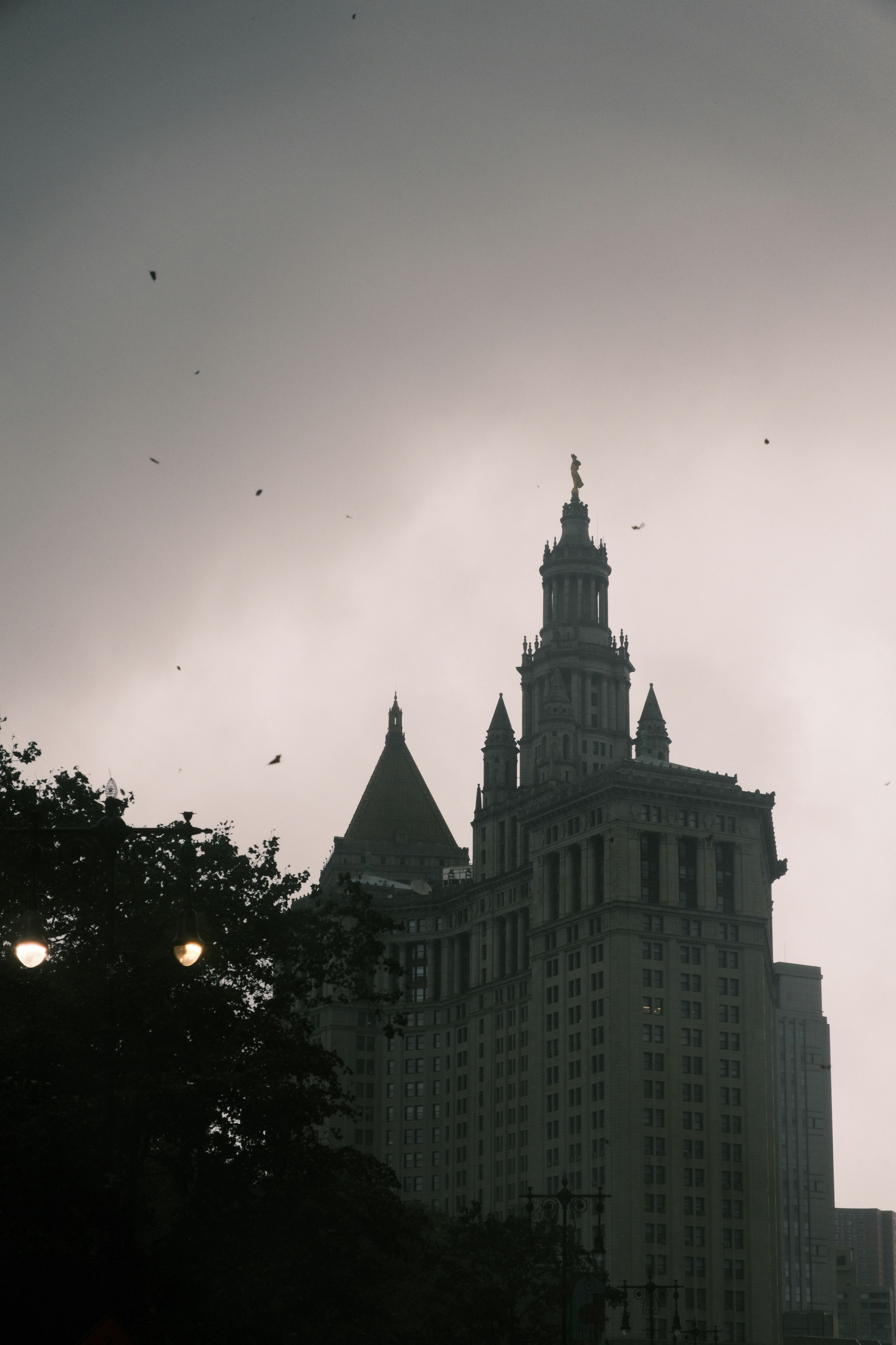Spire Crown Over a Clouded Cityscape