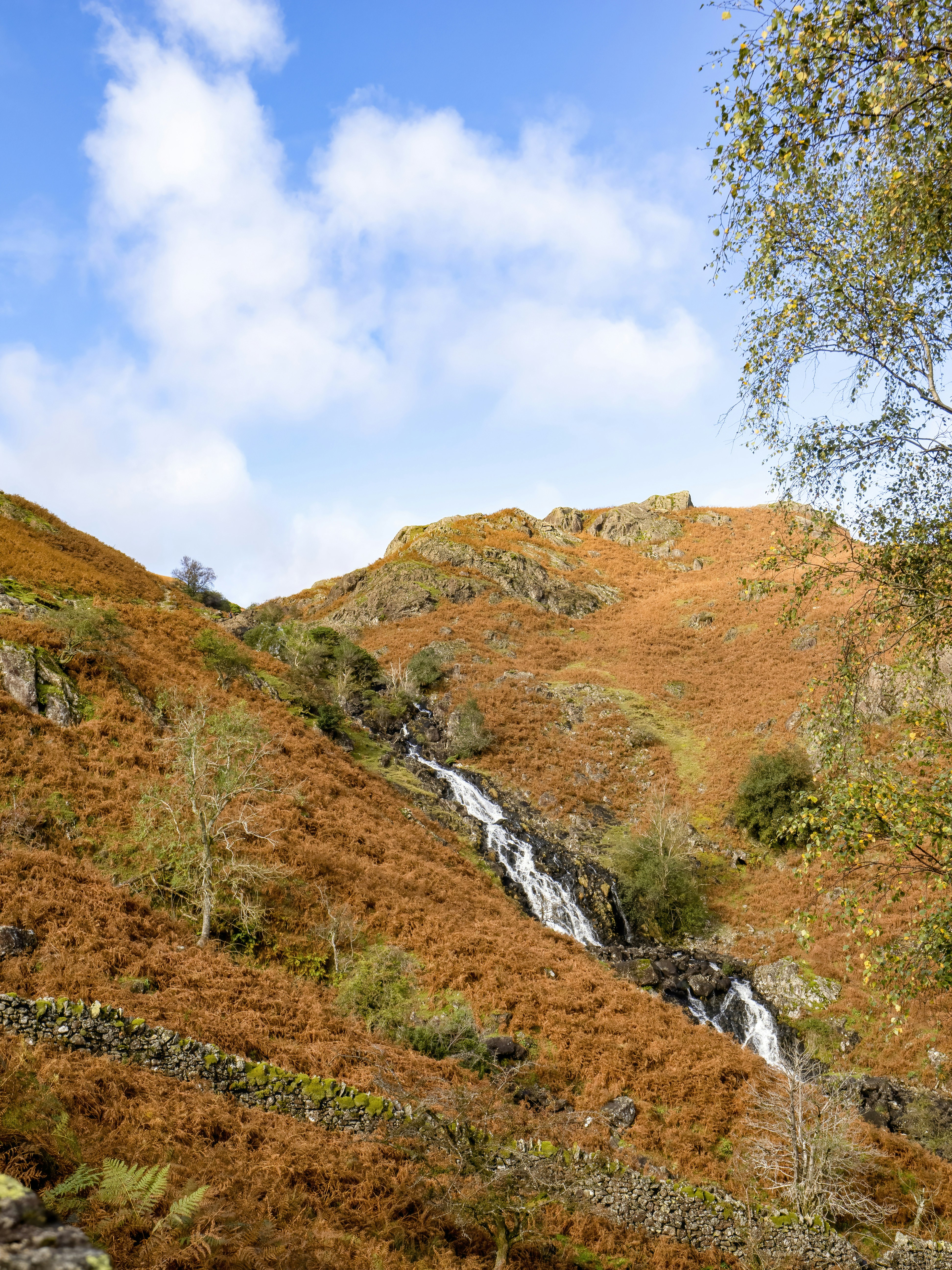 A stream running down the side of a mountain photo – Free Nature Image ...