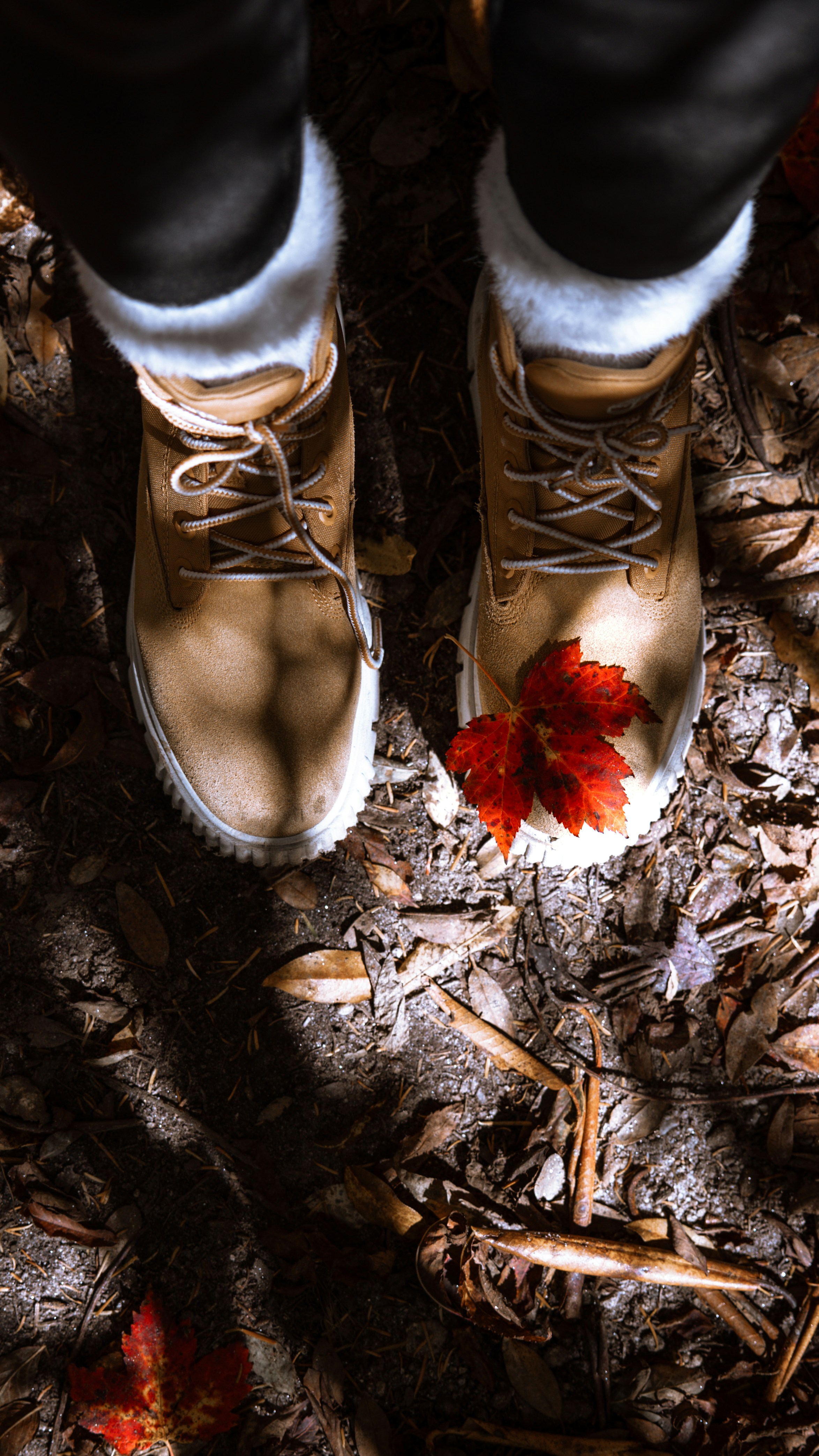 Crimson Leaf Graces a Tan Boot: A Quiet Moment on Leaf-Littered Autumn Ground
