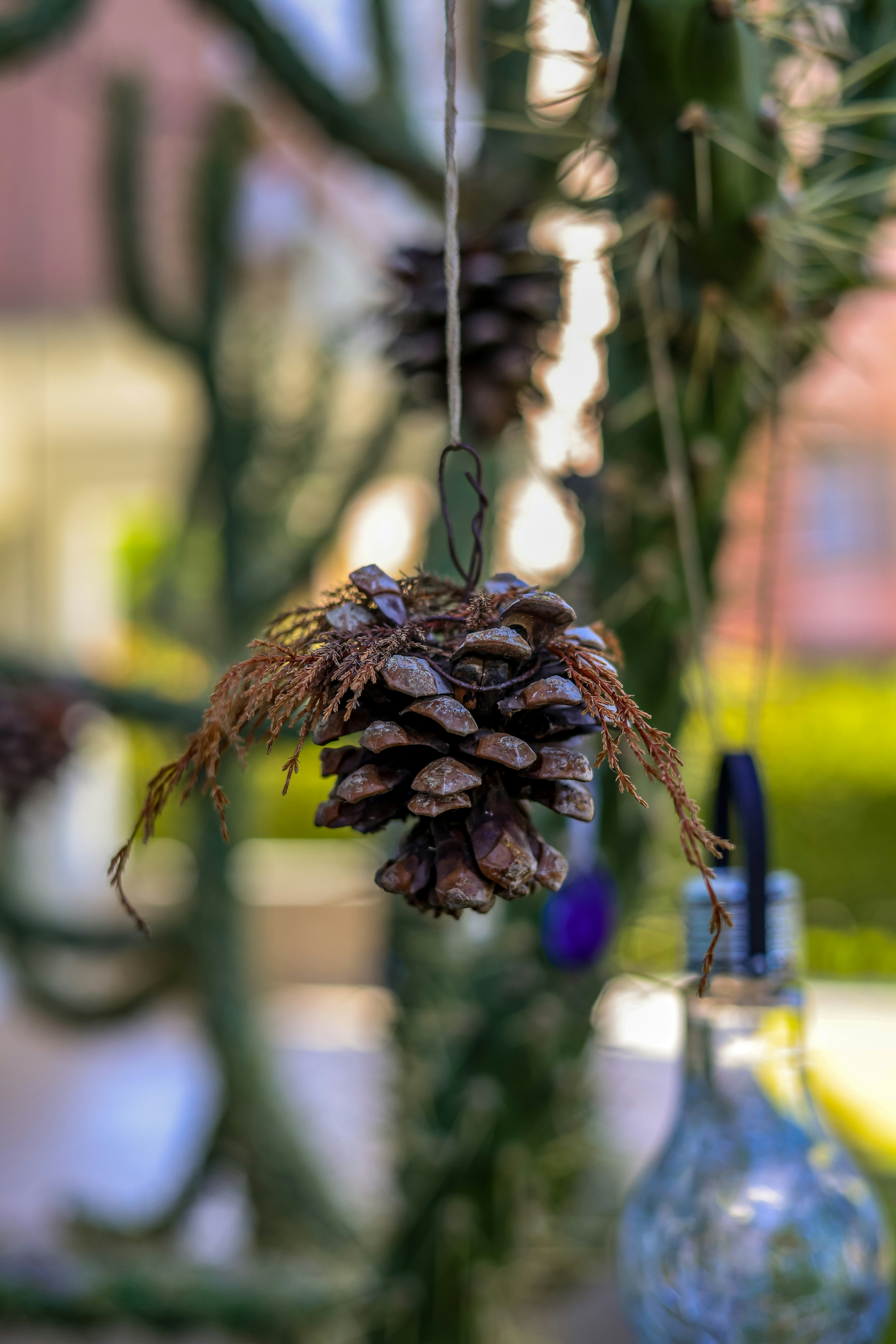 Suspended Pinecone Pendant in Soft Garden Light