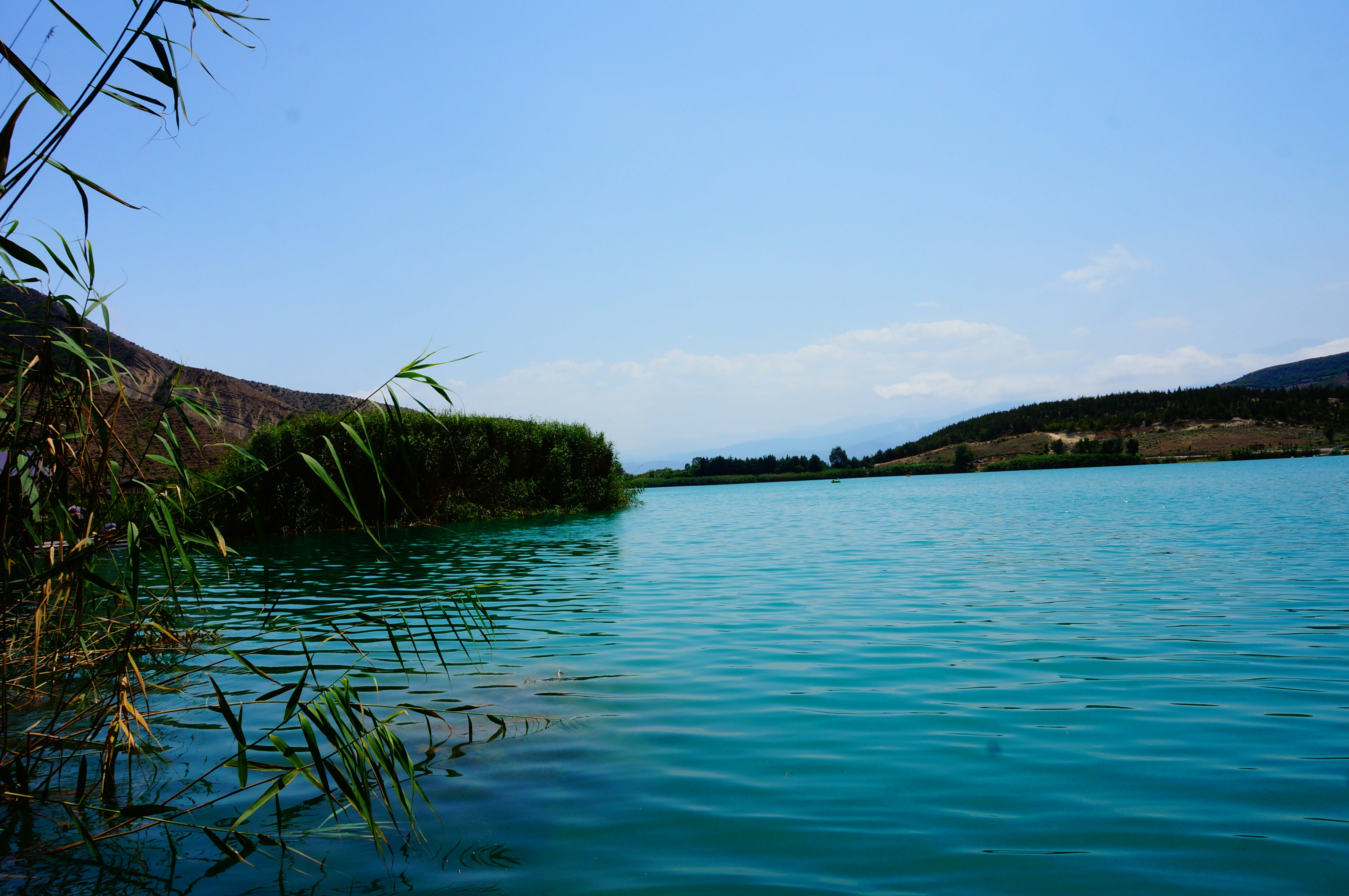 Vibrant turquoise water reflecting the sky, framed by lush green reeds along the shore. A tranquil landscape invites contemplation.