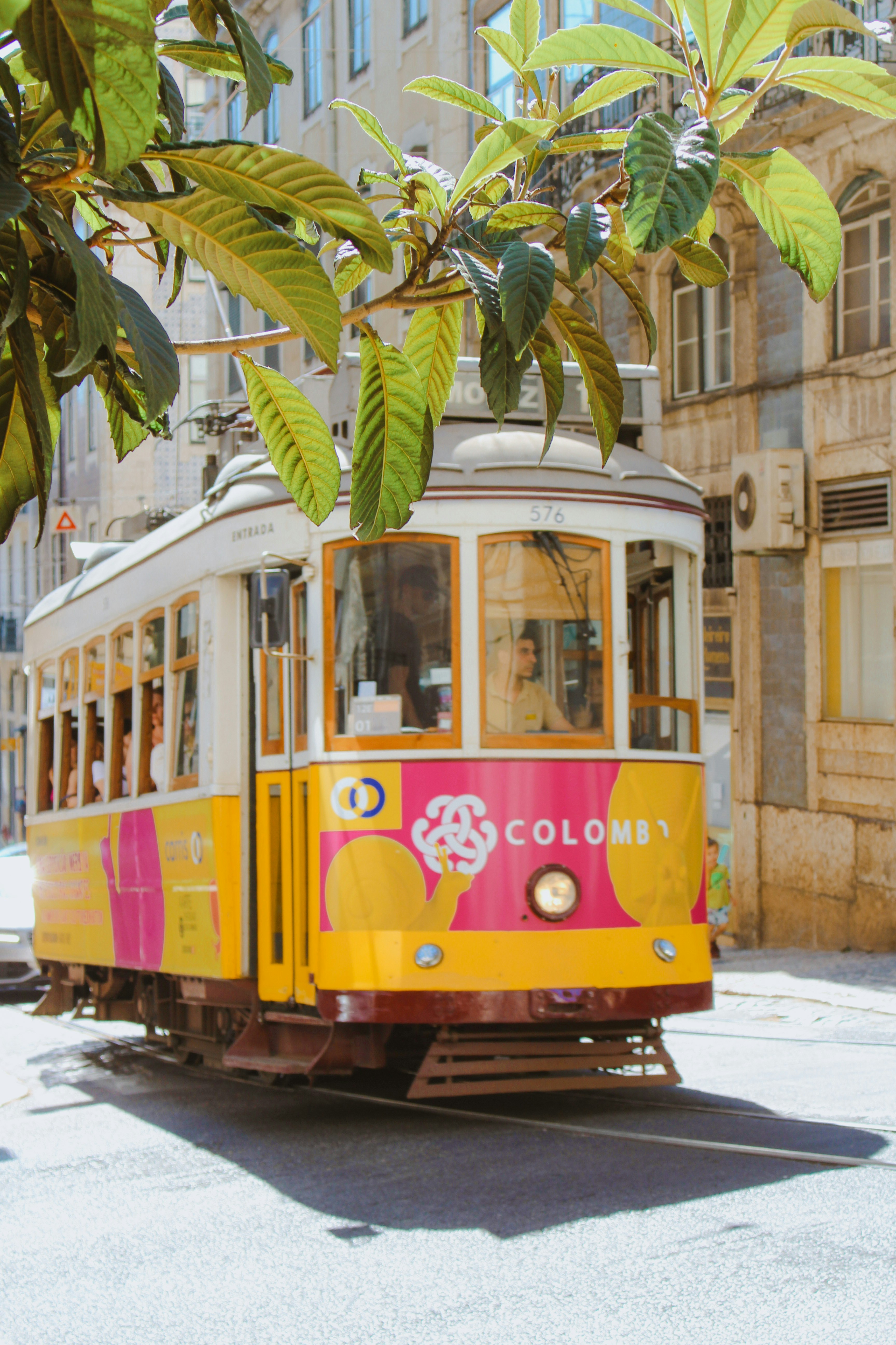 Sunlit Colombo Tram in Citrus Hues Framed by Green Foliage