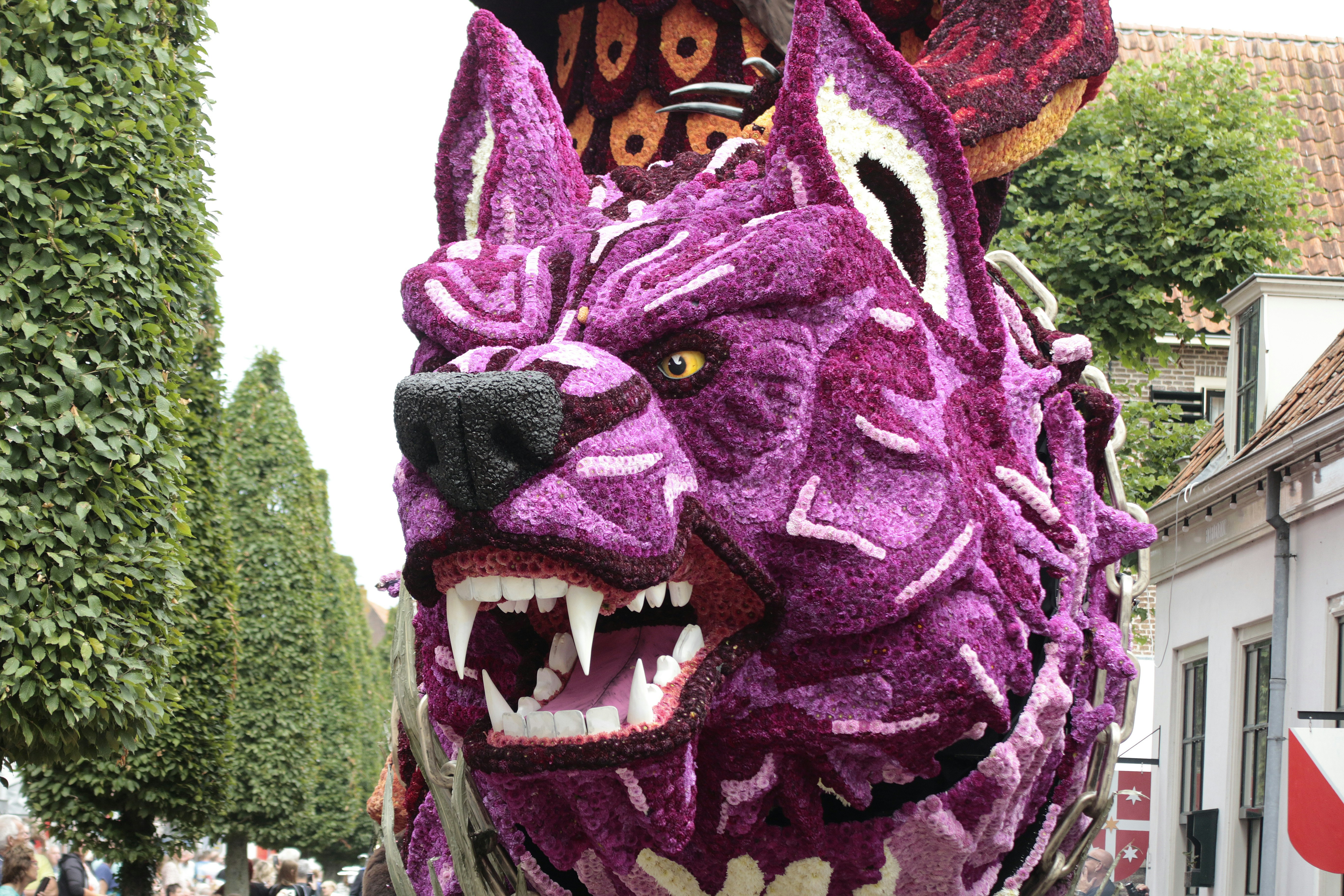 Violet Dragon Parade Head: A Close-Up of Texture and Fangs