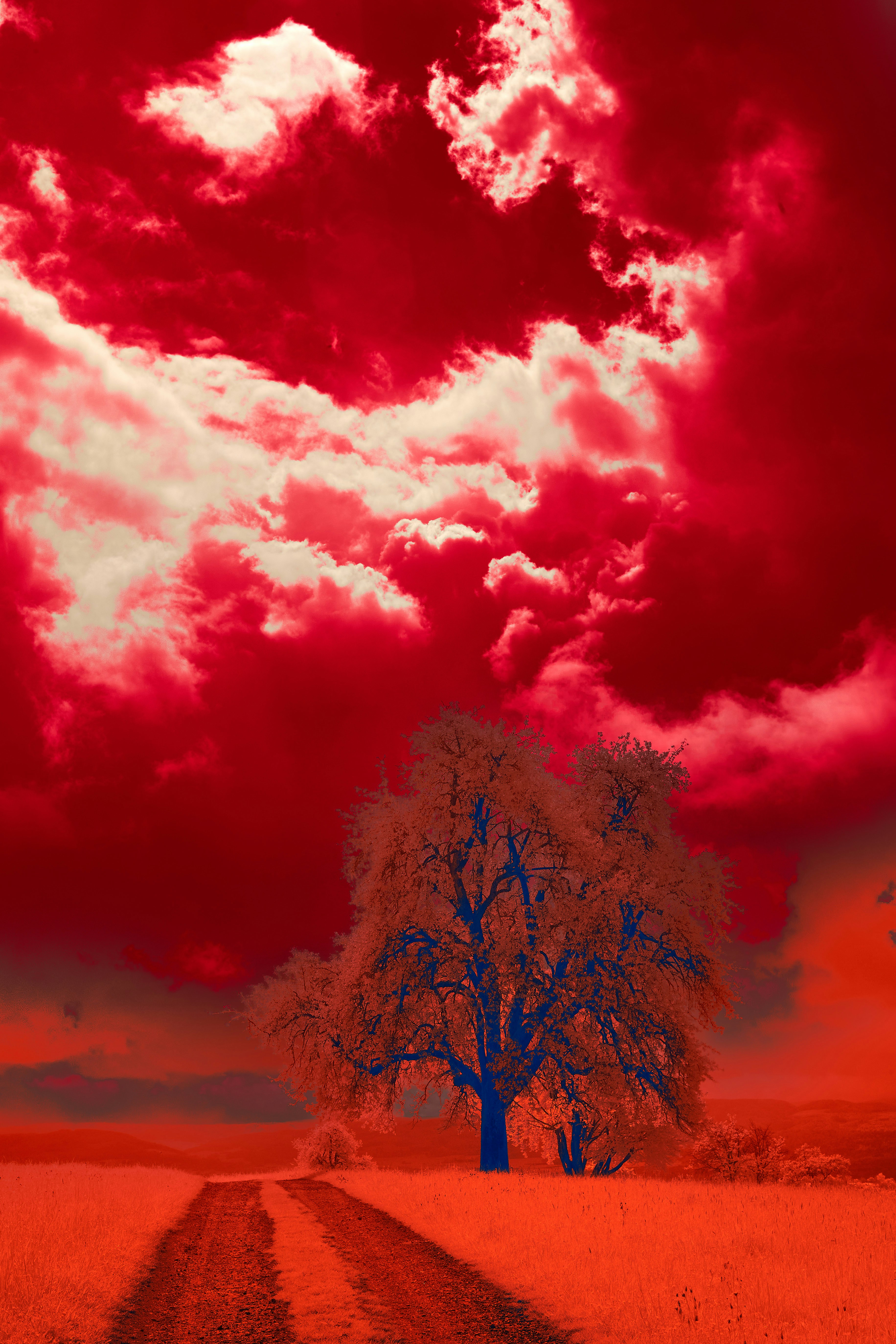 Photo by Wolfgang Hasselmann with Sony Alpha 7 II