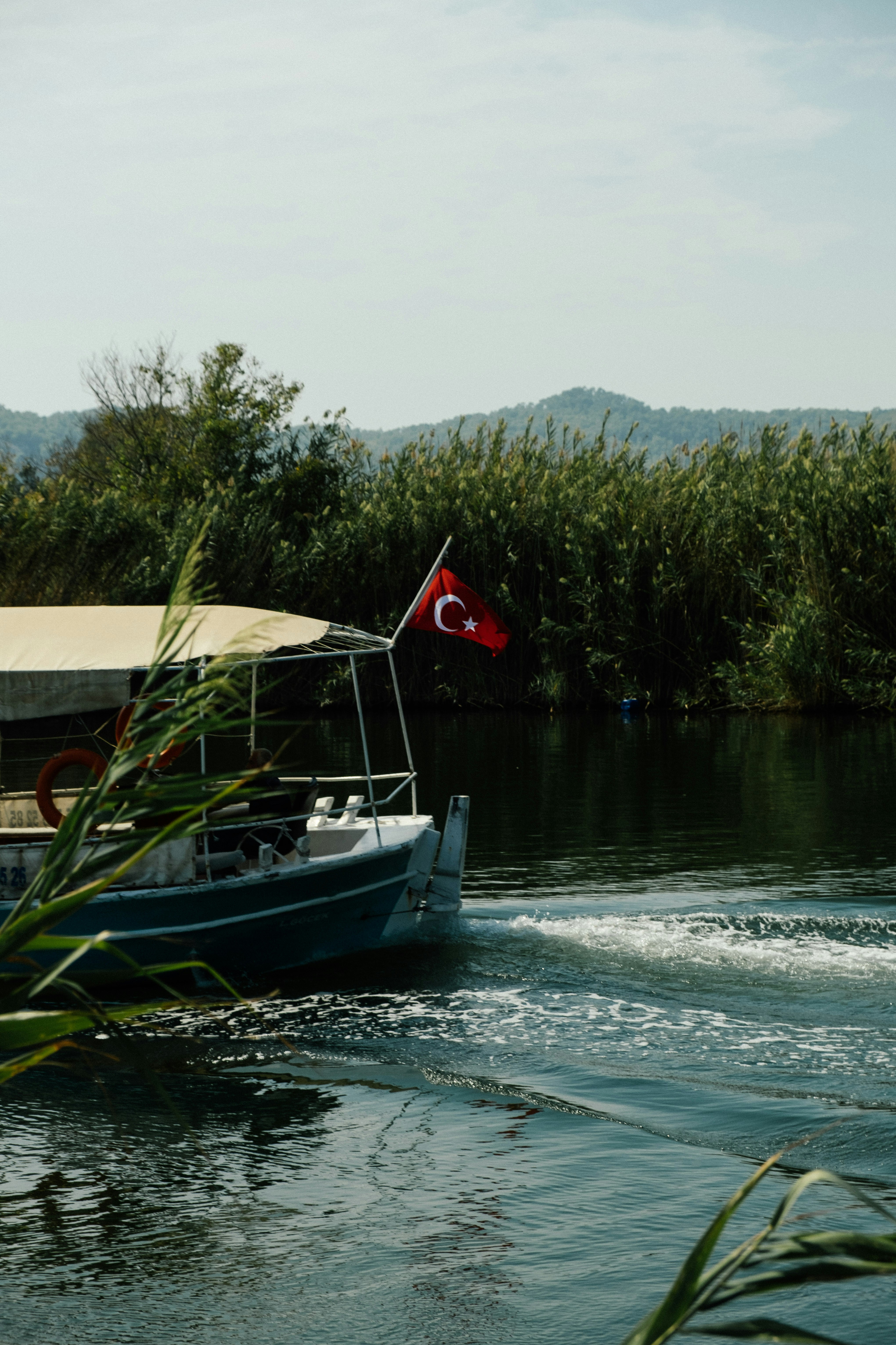 Flag on the Wake: Turkish Boat Gliding Past Reed-Fringed Banks