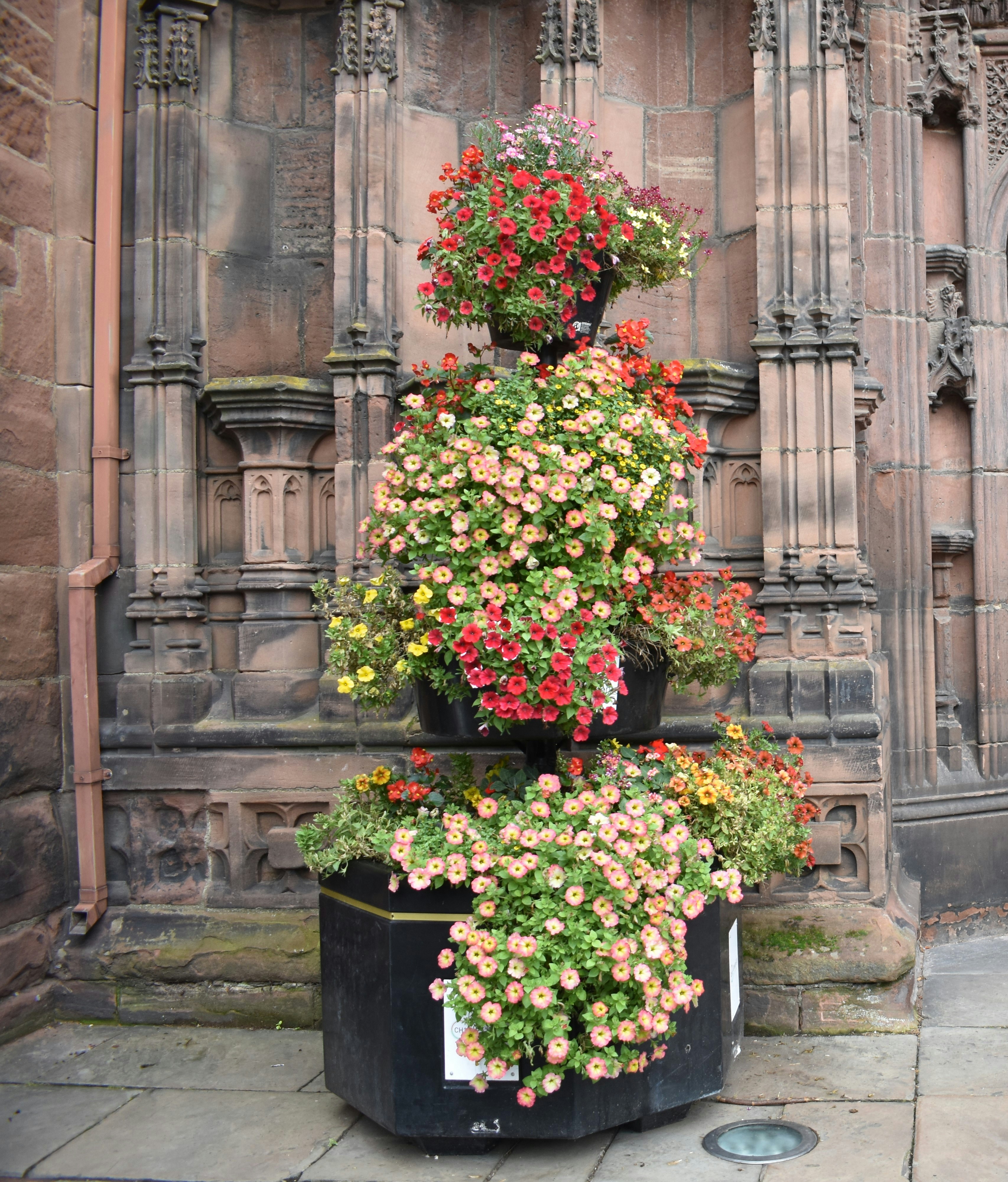Cascade of Color: Florals Rising in a Stone-Column Pedestal