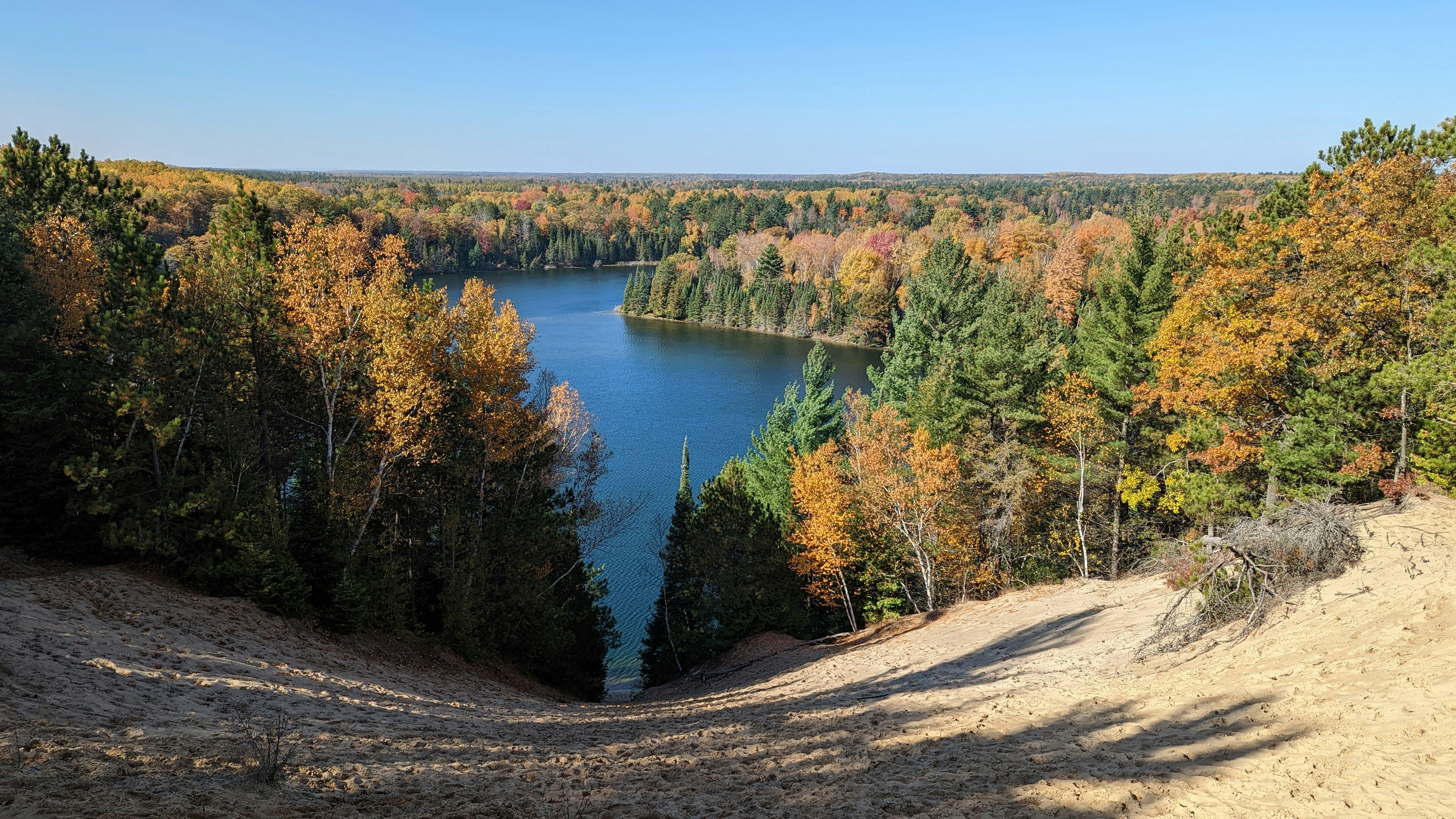 Autumn Bend: A Golden River Winding Through a Forested Bluff