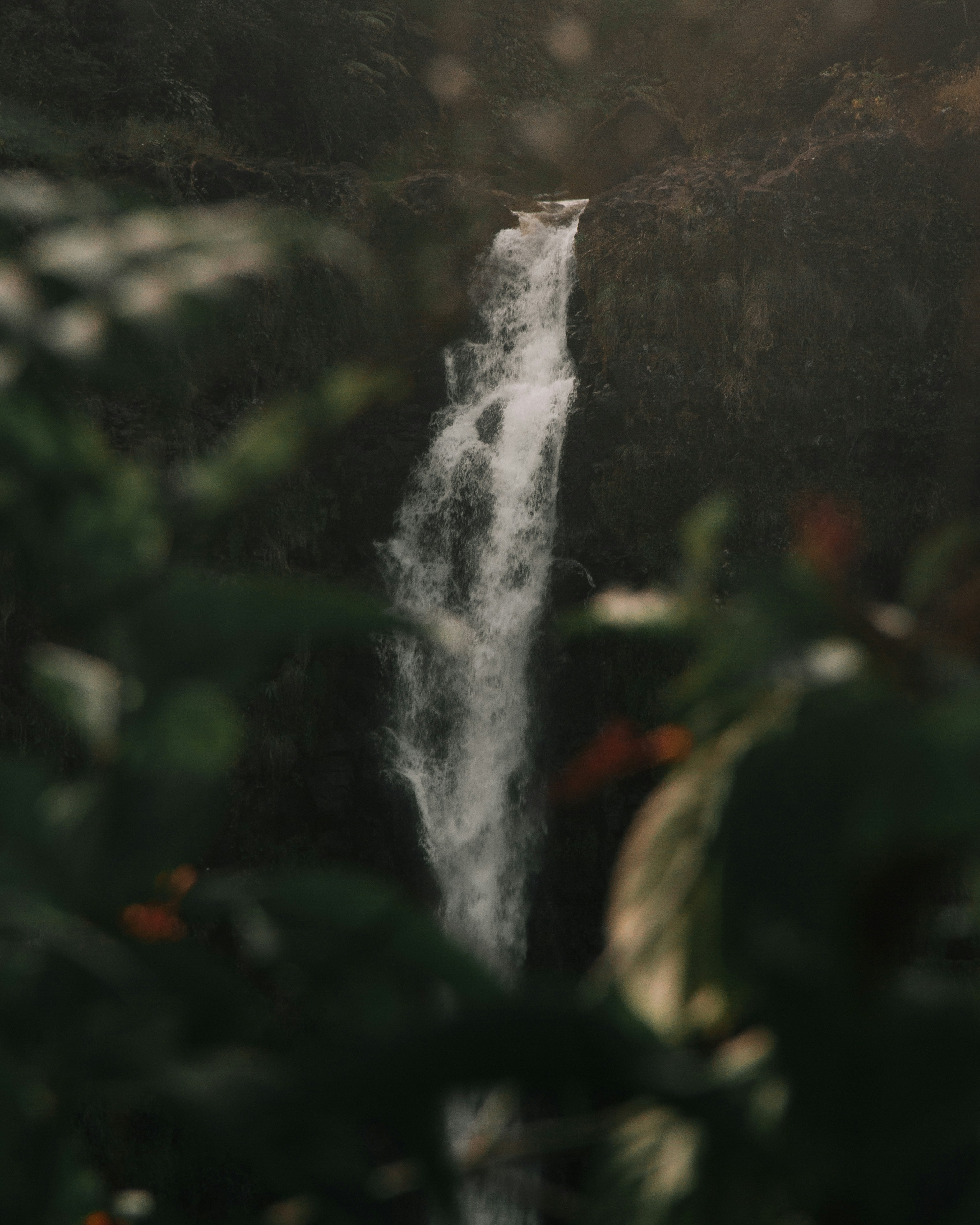 Whispering Cascade Through Framed Foliage