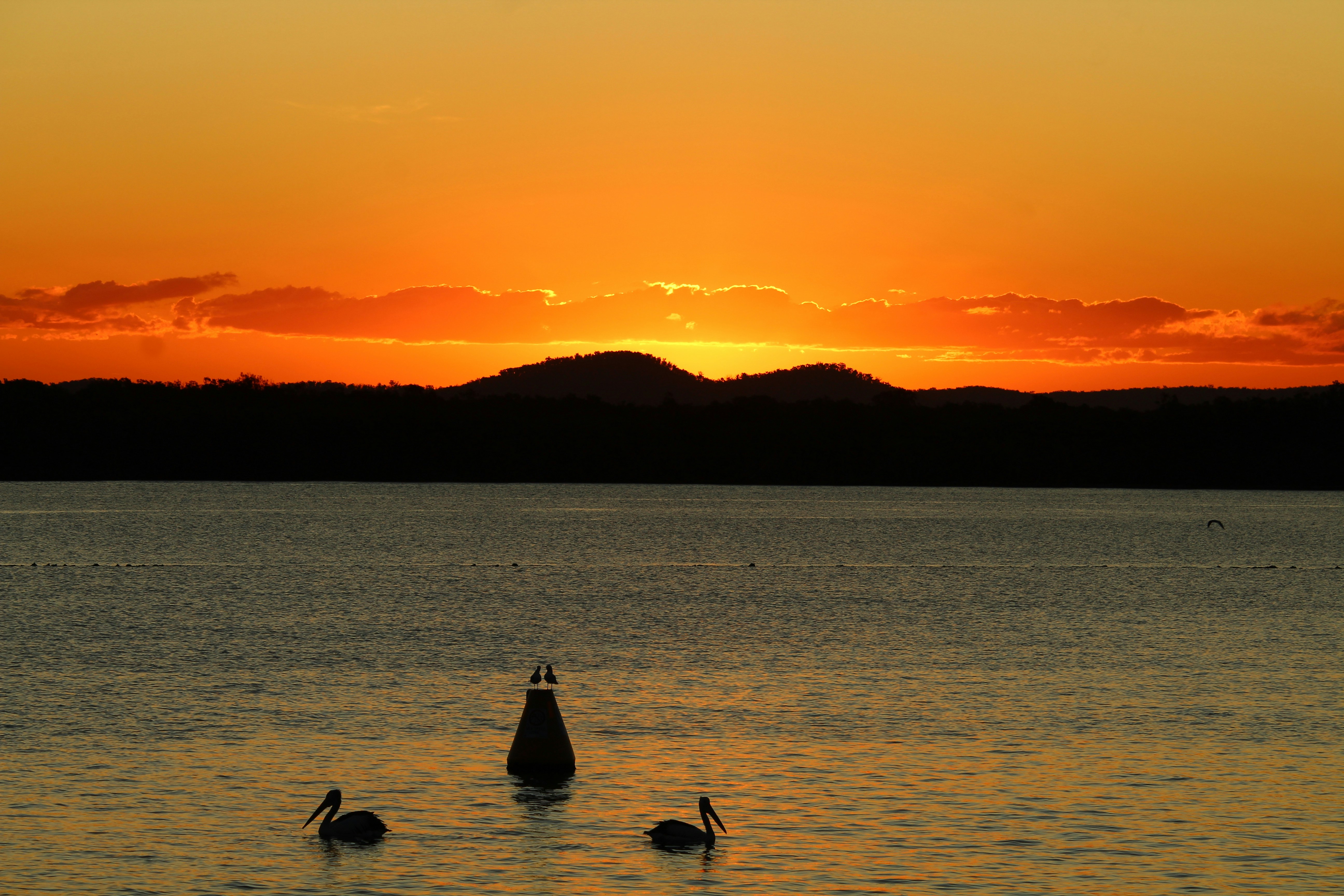 Photo by Kayla O'Brien with Canon EOS 1300D