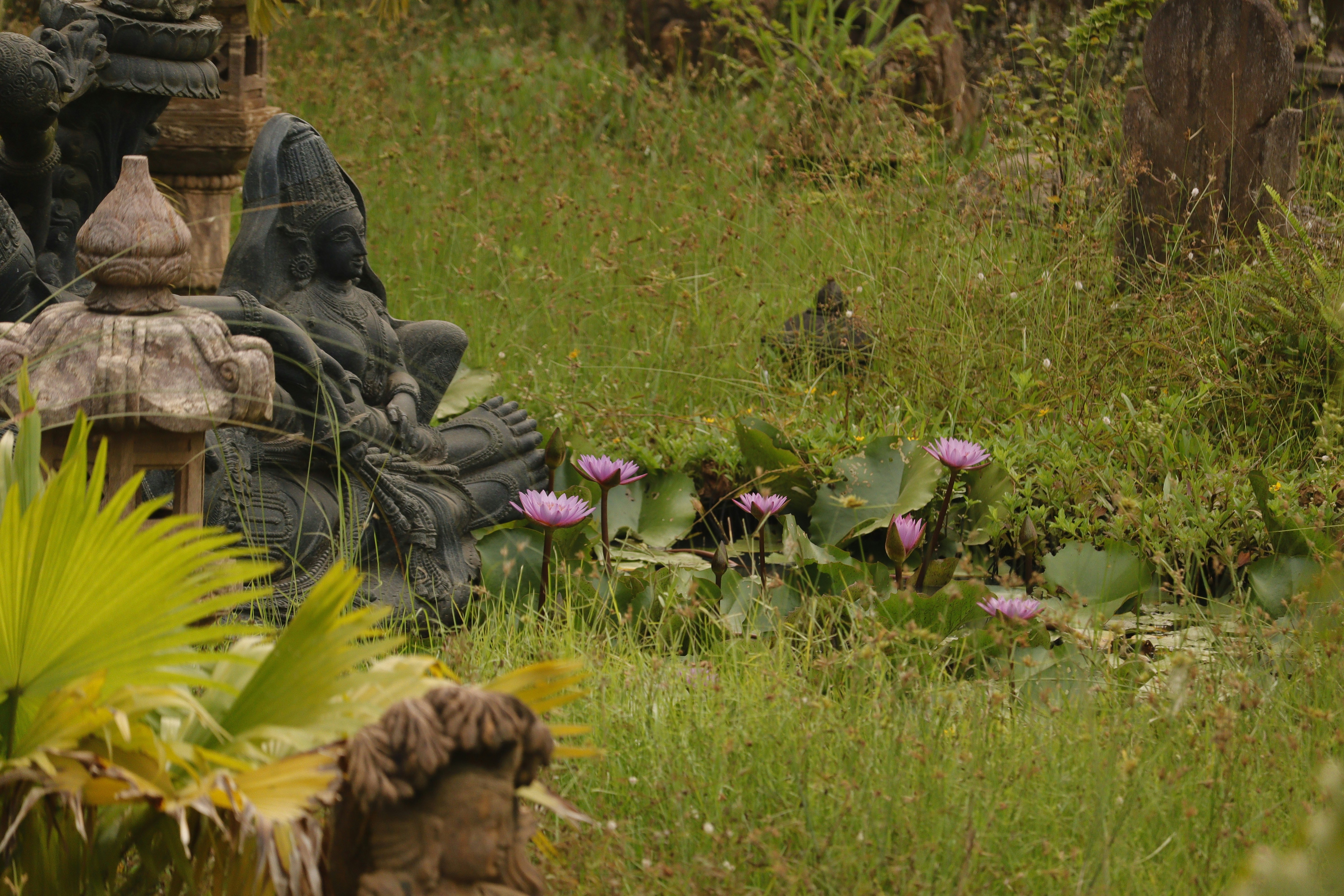 Serenity Amidst Verdant Blossoms