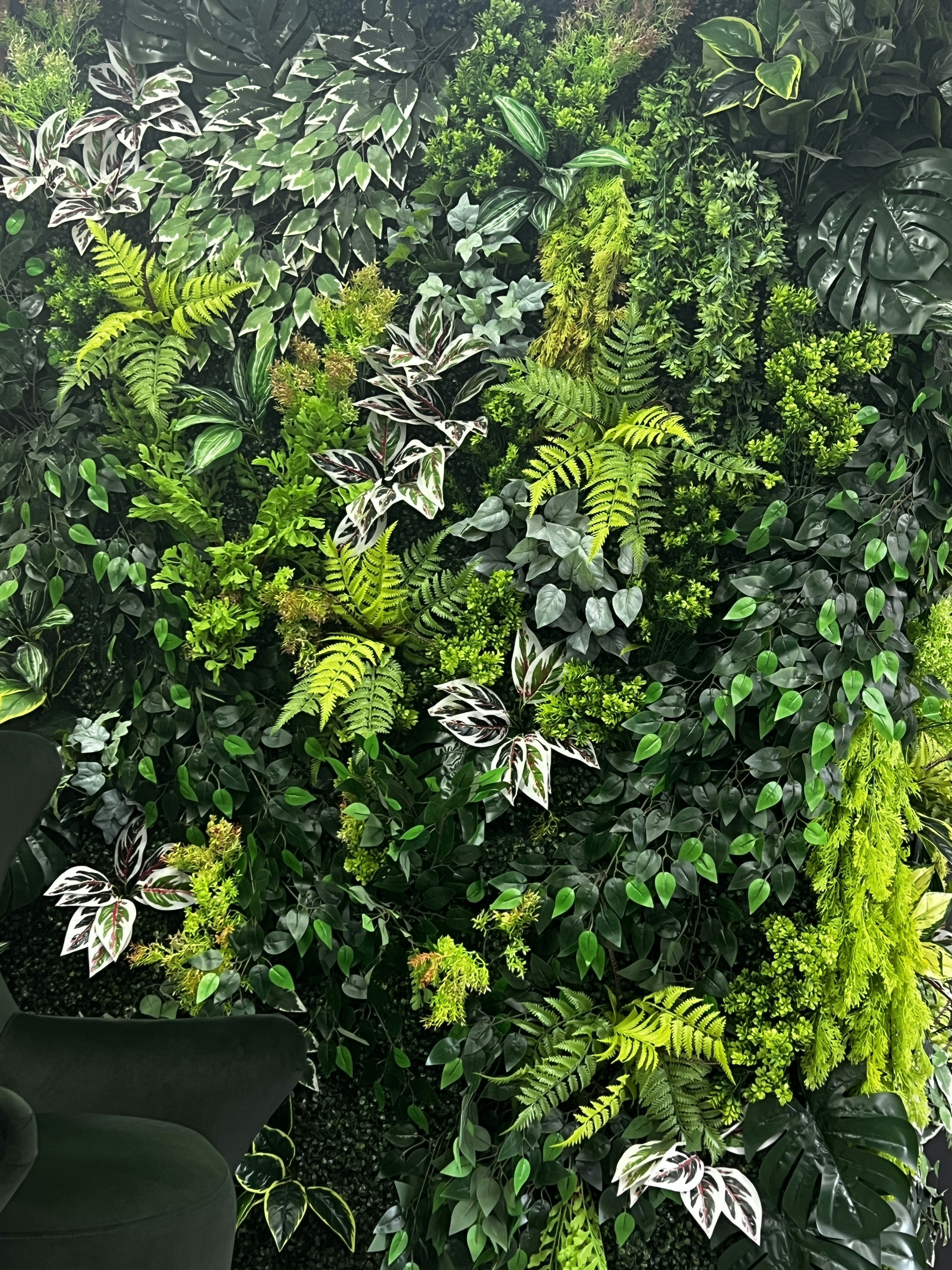 Un mur végétal avec beaucoup de plantes qui poussent dessus photo ...