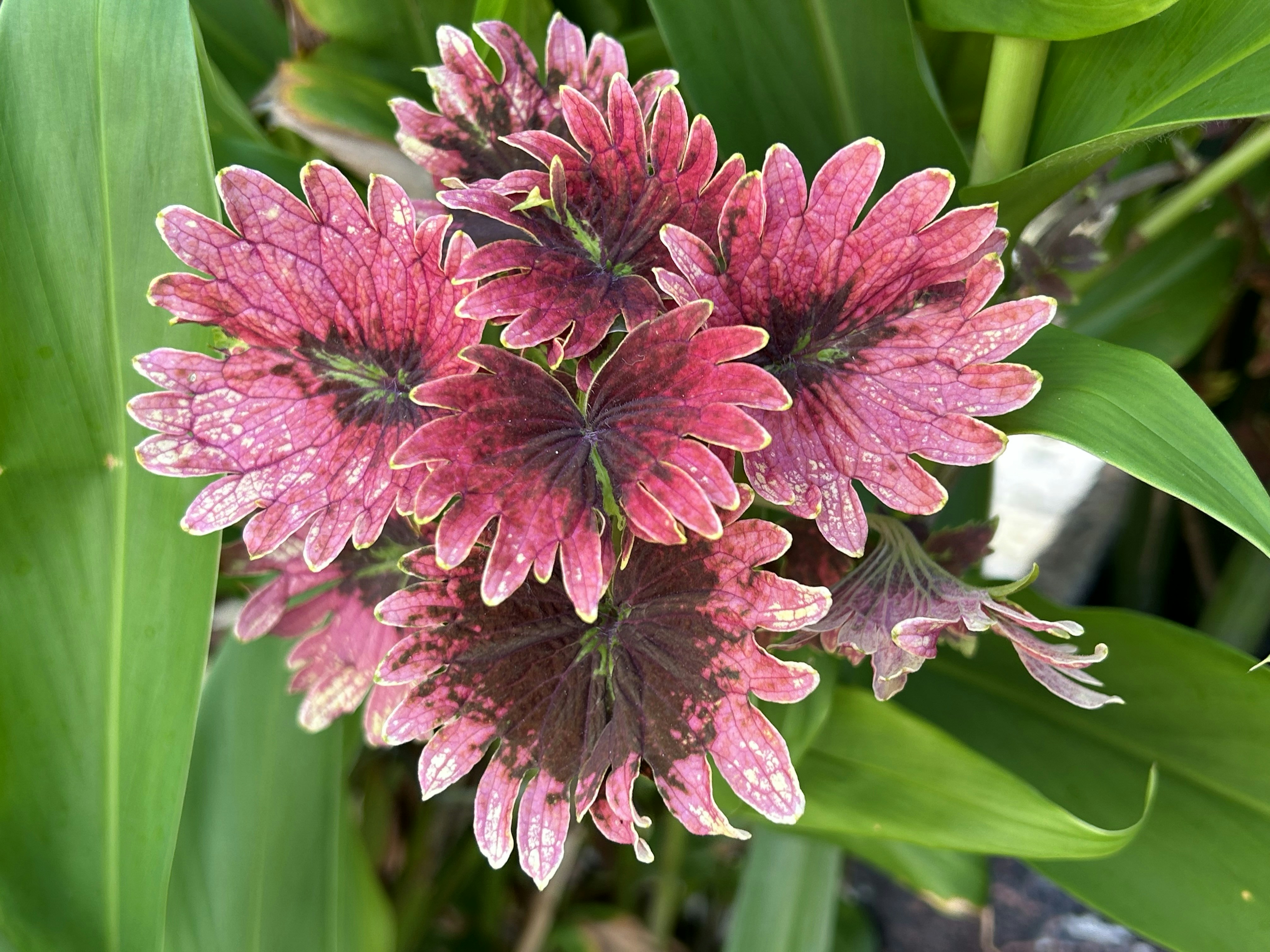 Photo by Julia Mitchell with Apple iPhone 14