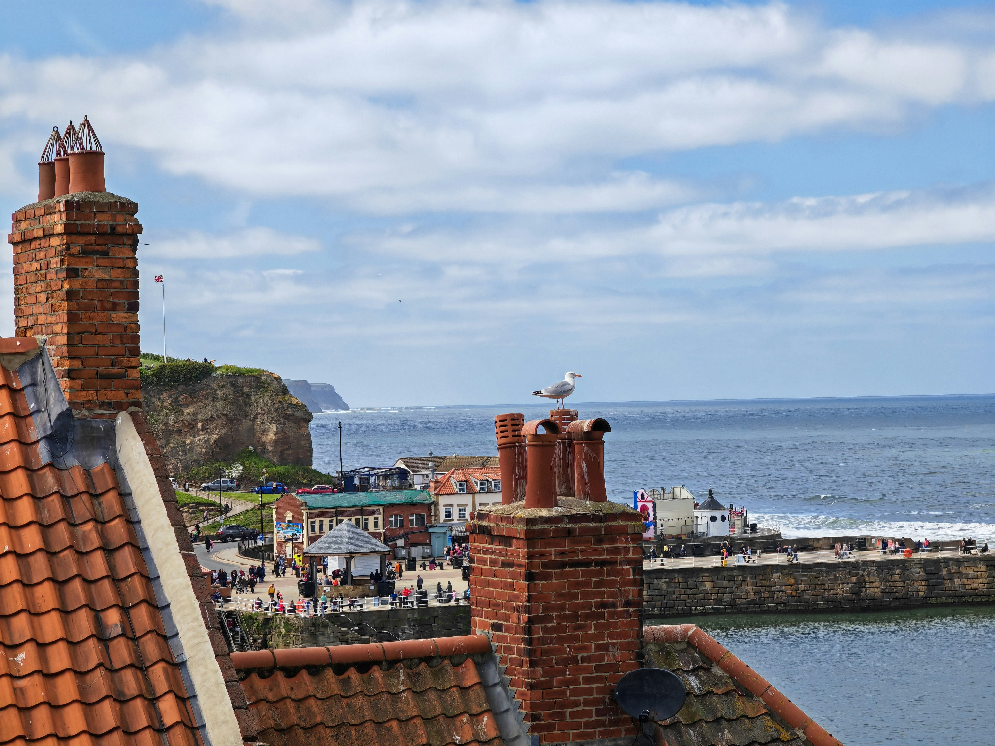 Seagull on a Chimney Above Red-Brick Rooftops by the Harbor