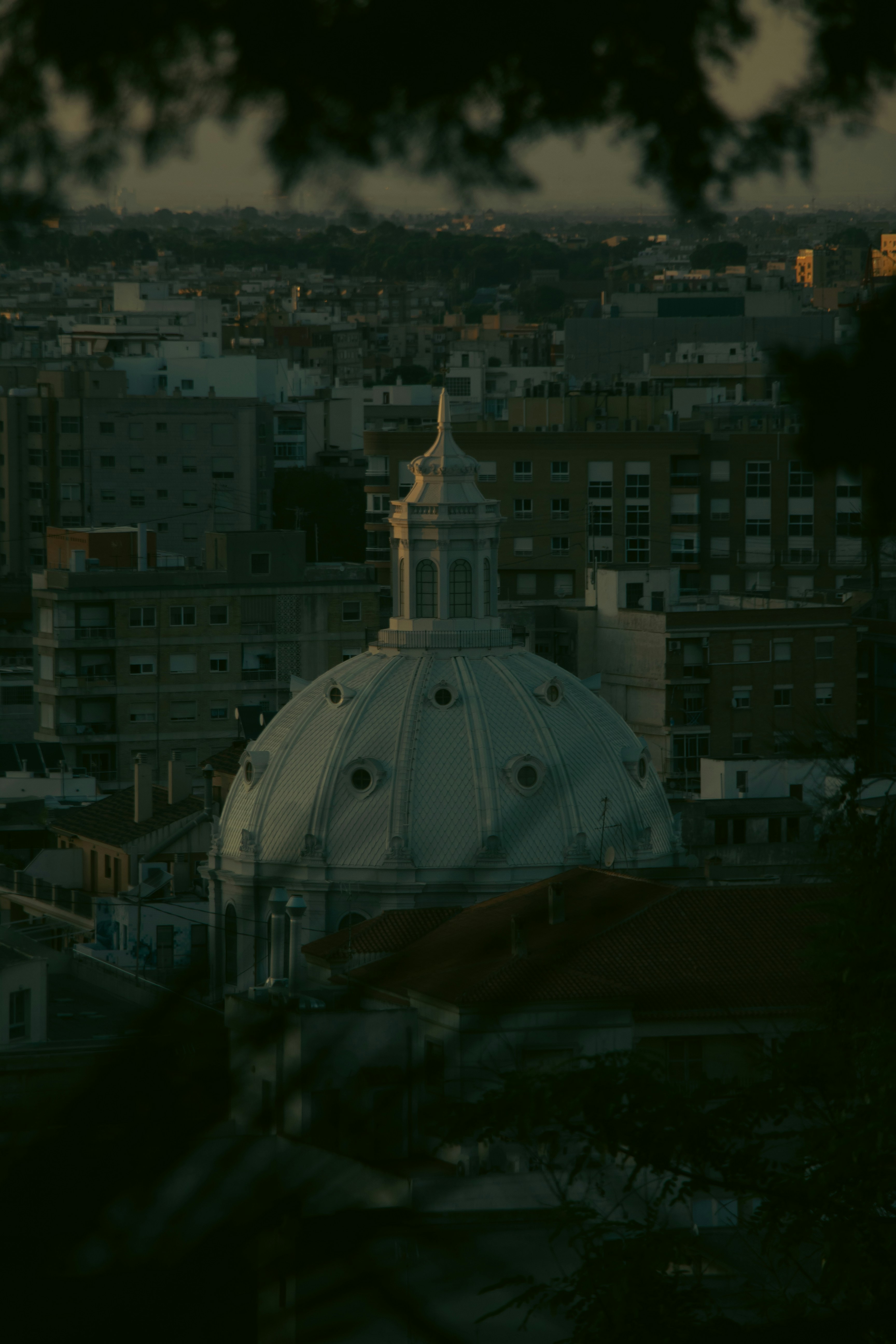 Dome of a historic building framed by tree branches against a backdrop of city architecture at dusk.