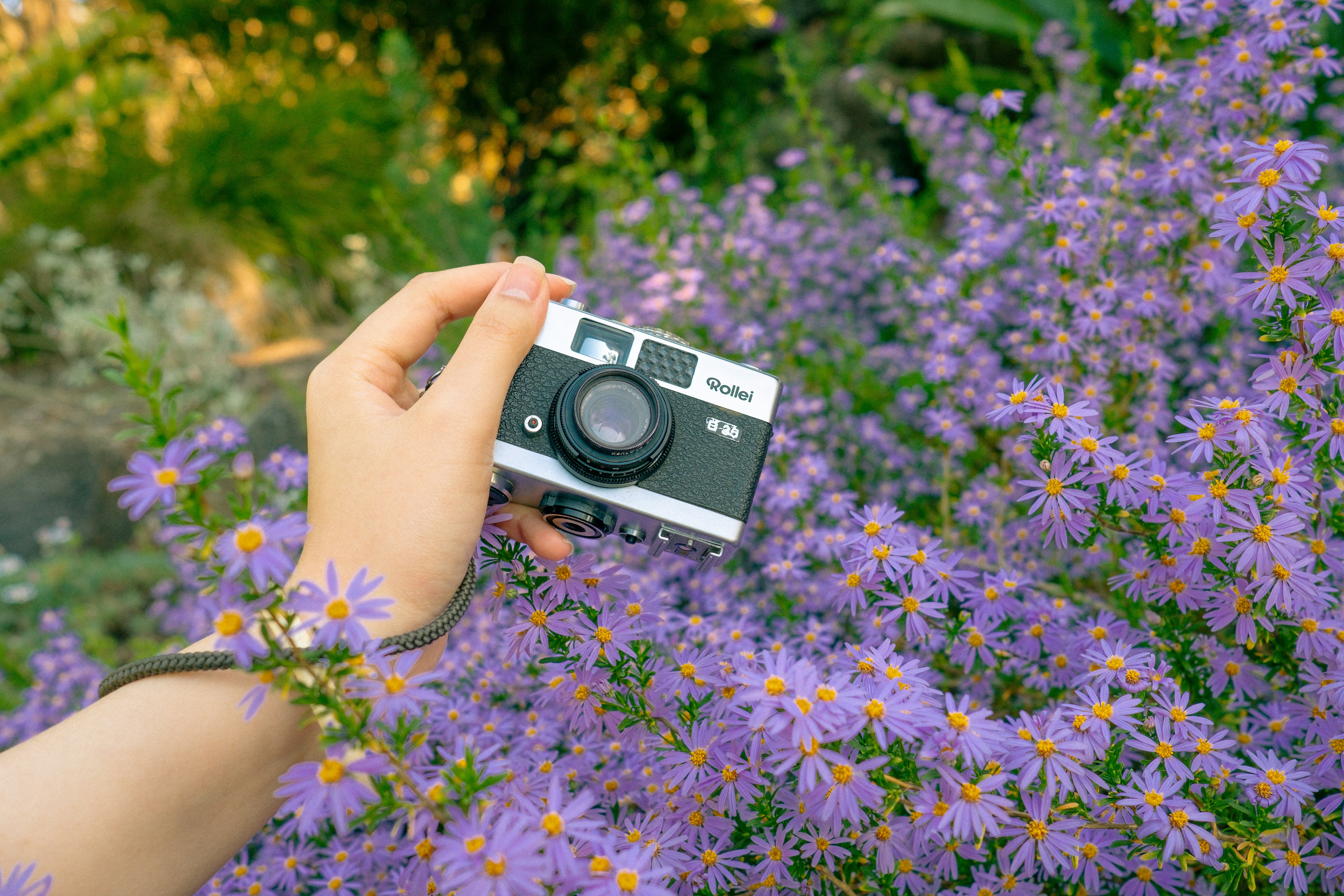 A person holding a camera in front of purple flowers photo – Free Photo ...