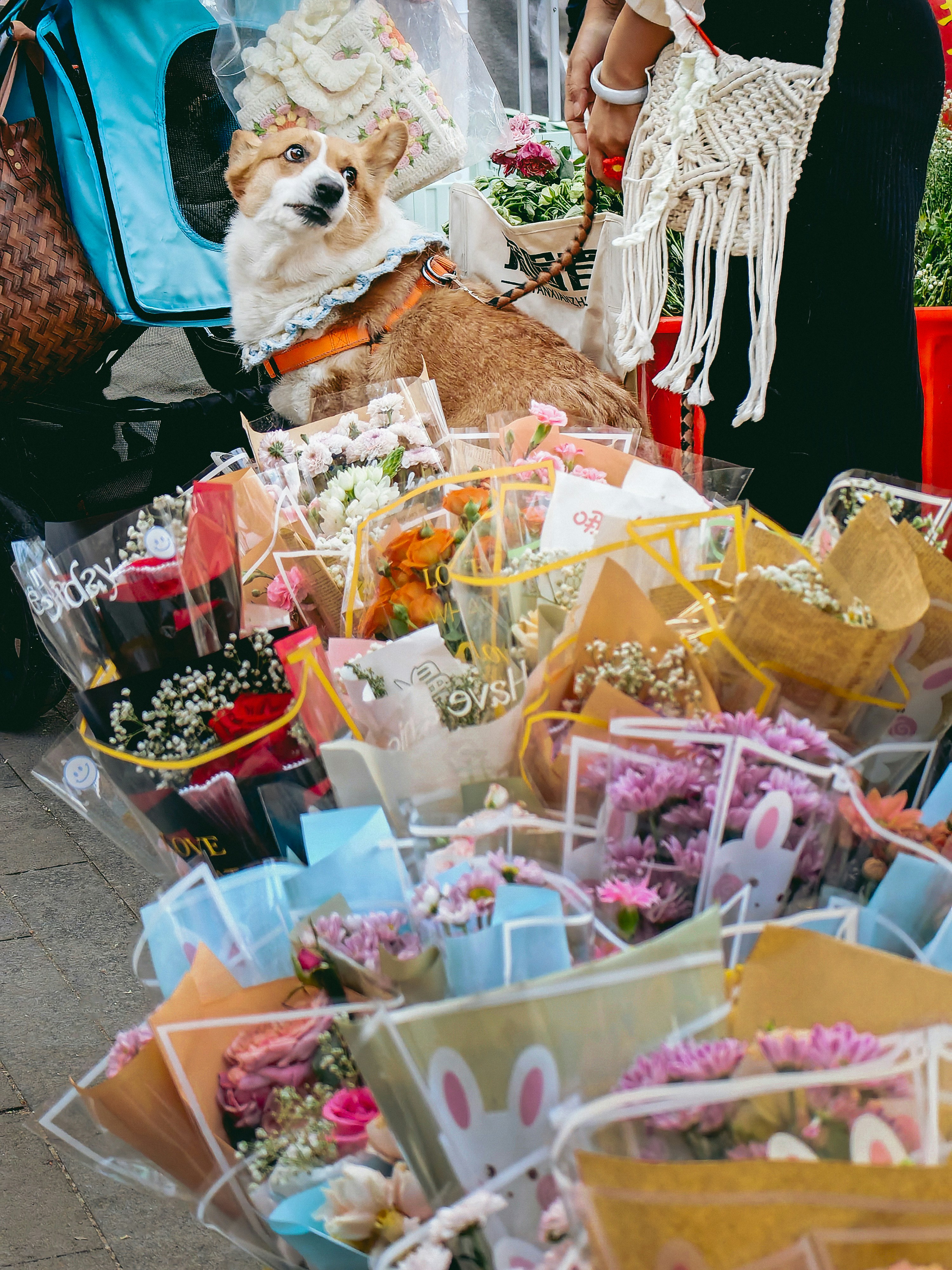 Bright floral bouquets spill toward the foreground as a corgi sits in a stroller nearby, with a person in a fringed garment visible in the background. The scene feels like a pop-up floral stall.