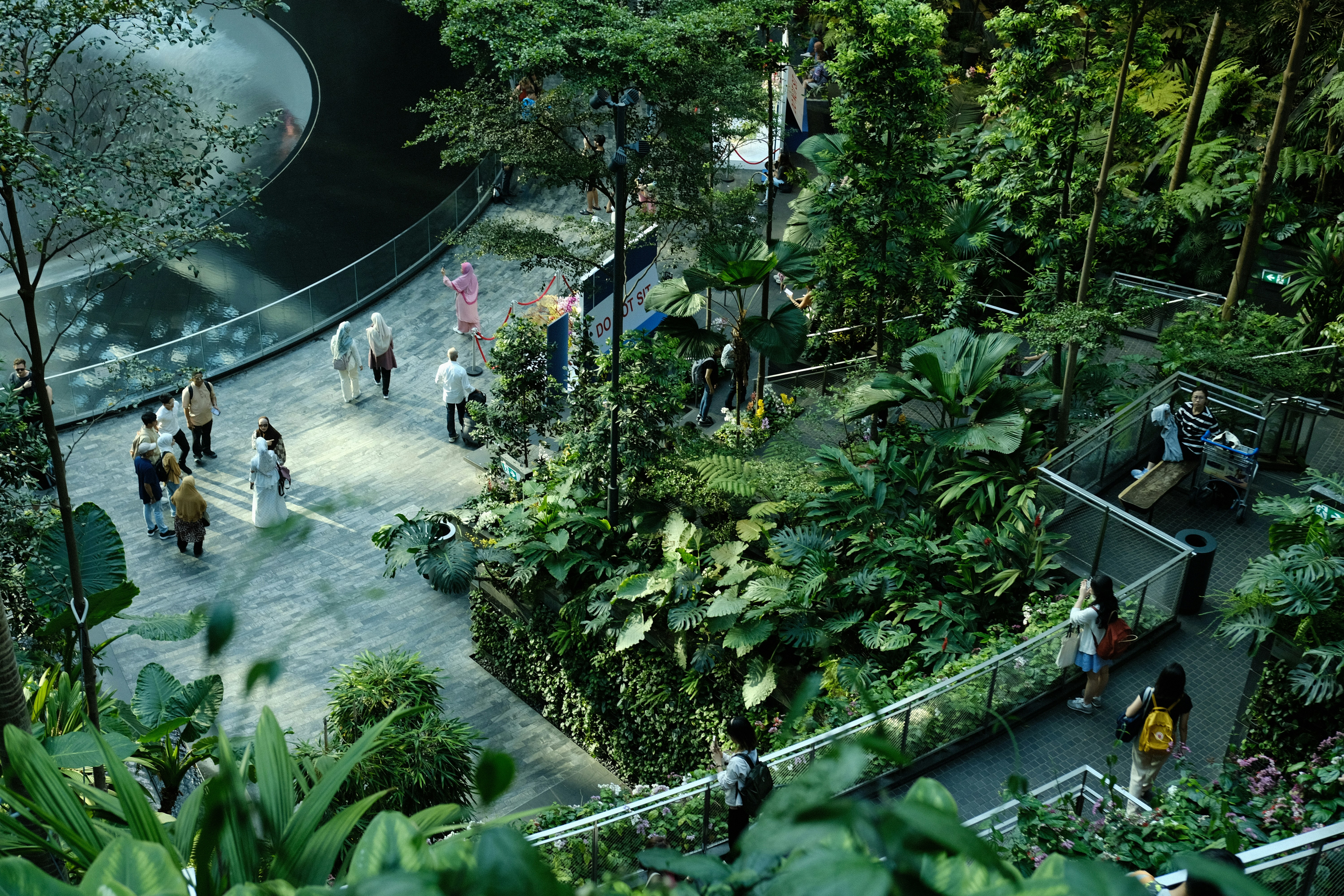 Verdant Atrium Crossing: People Trek a Glass Spine Through an Indoor Jungle