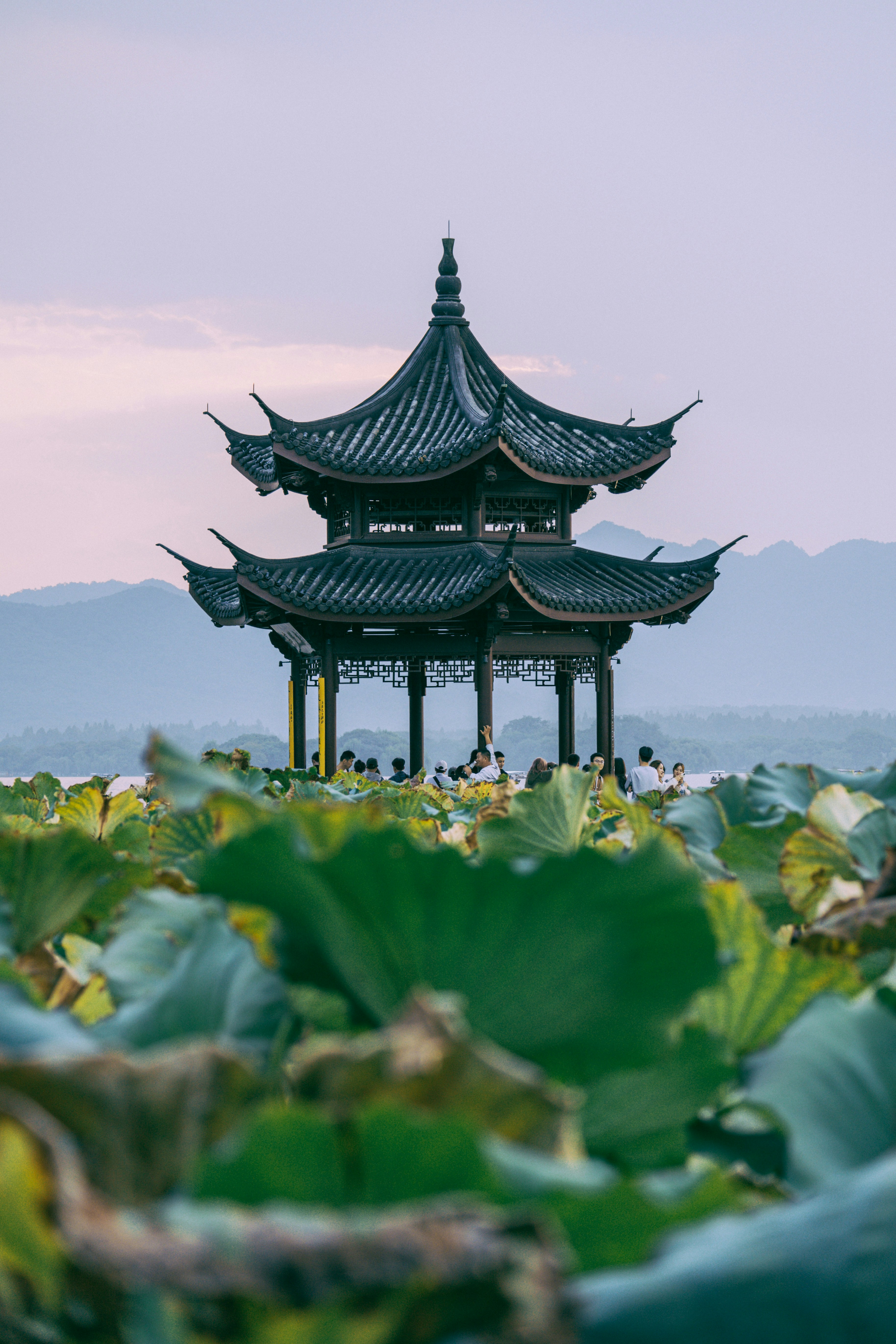Hangzhou 杭州 | a pagoda stands in the middle of a field