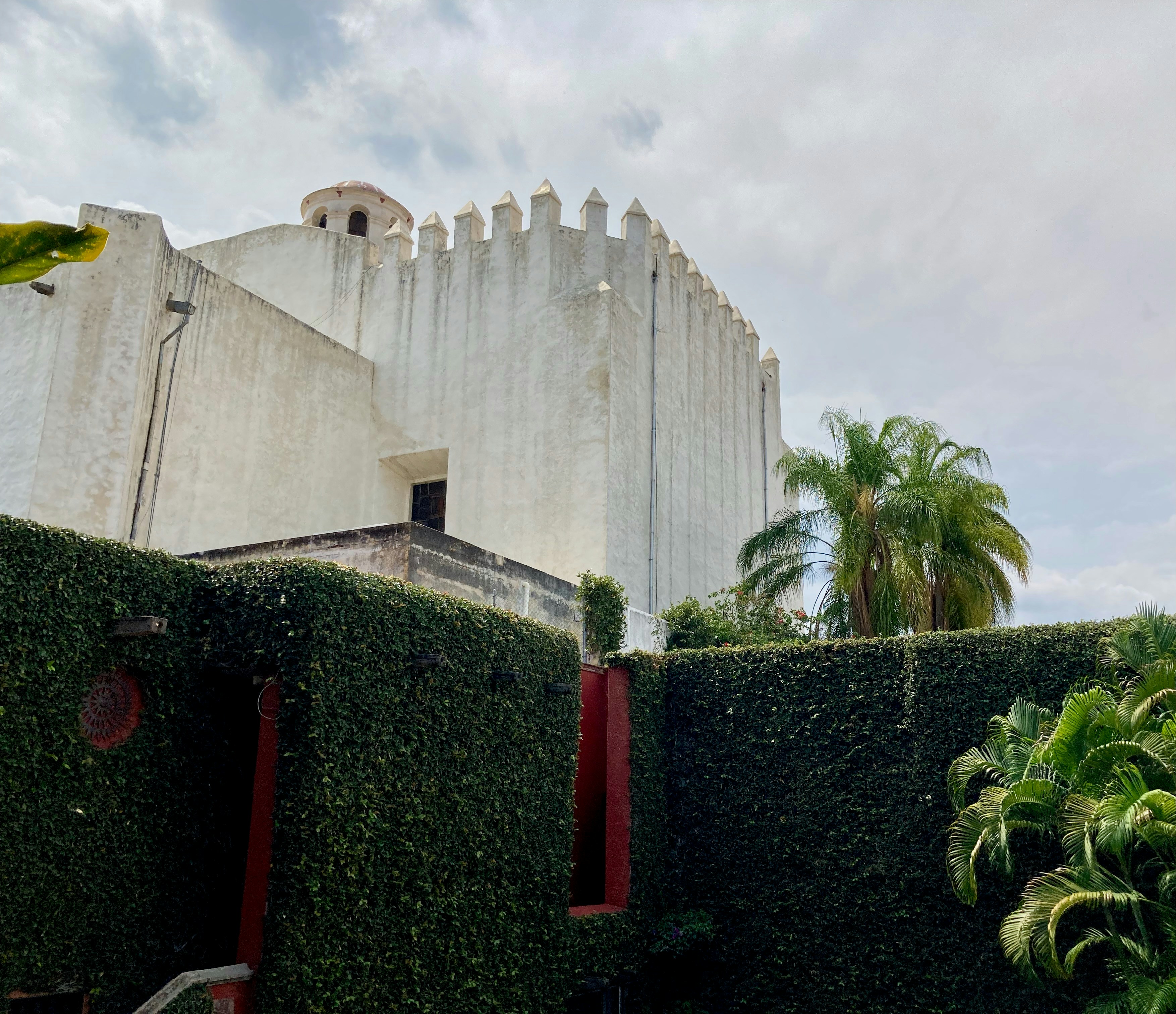 Thick green vines and a powerful neighbor