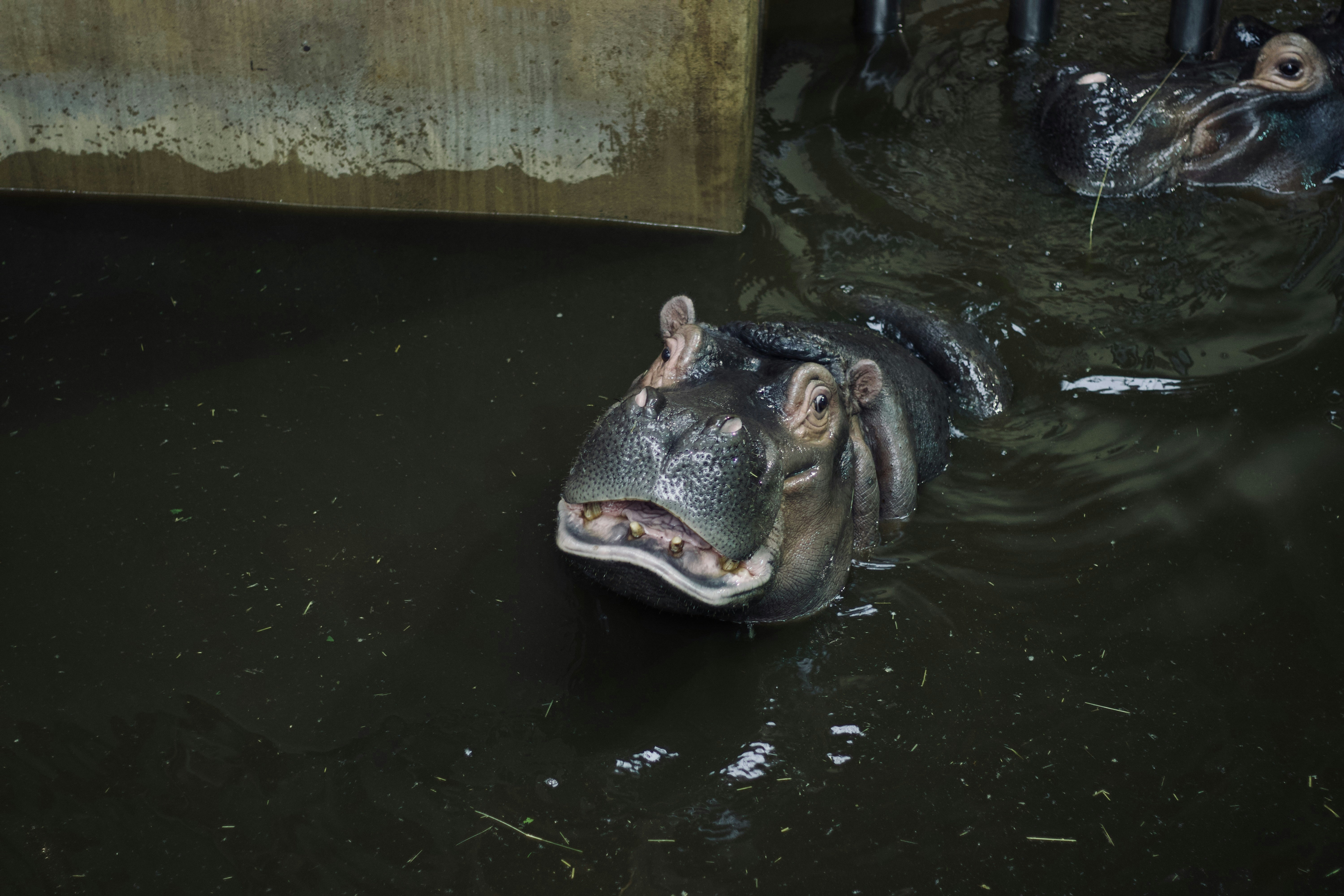 Photo by Jakub Neskora with Canon EOS 250D