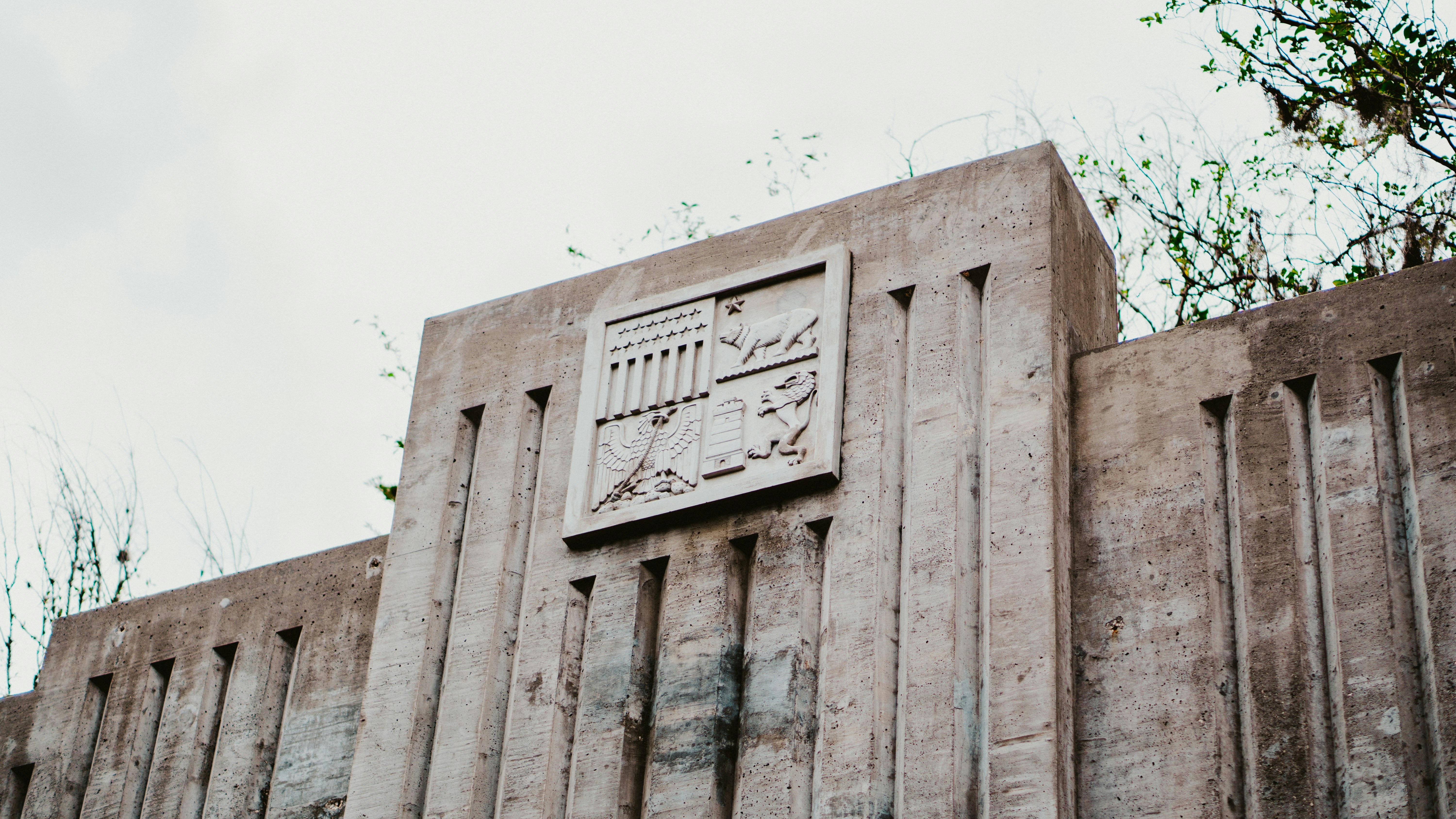 Cairo University Logo Png Pictures | Download Free Images on Unsplash