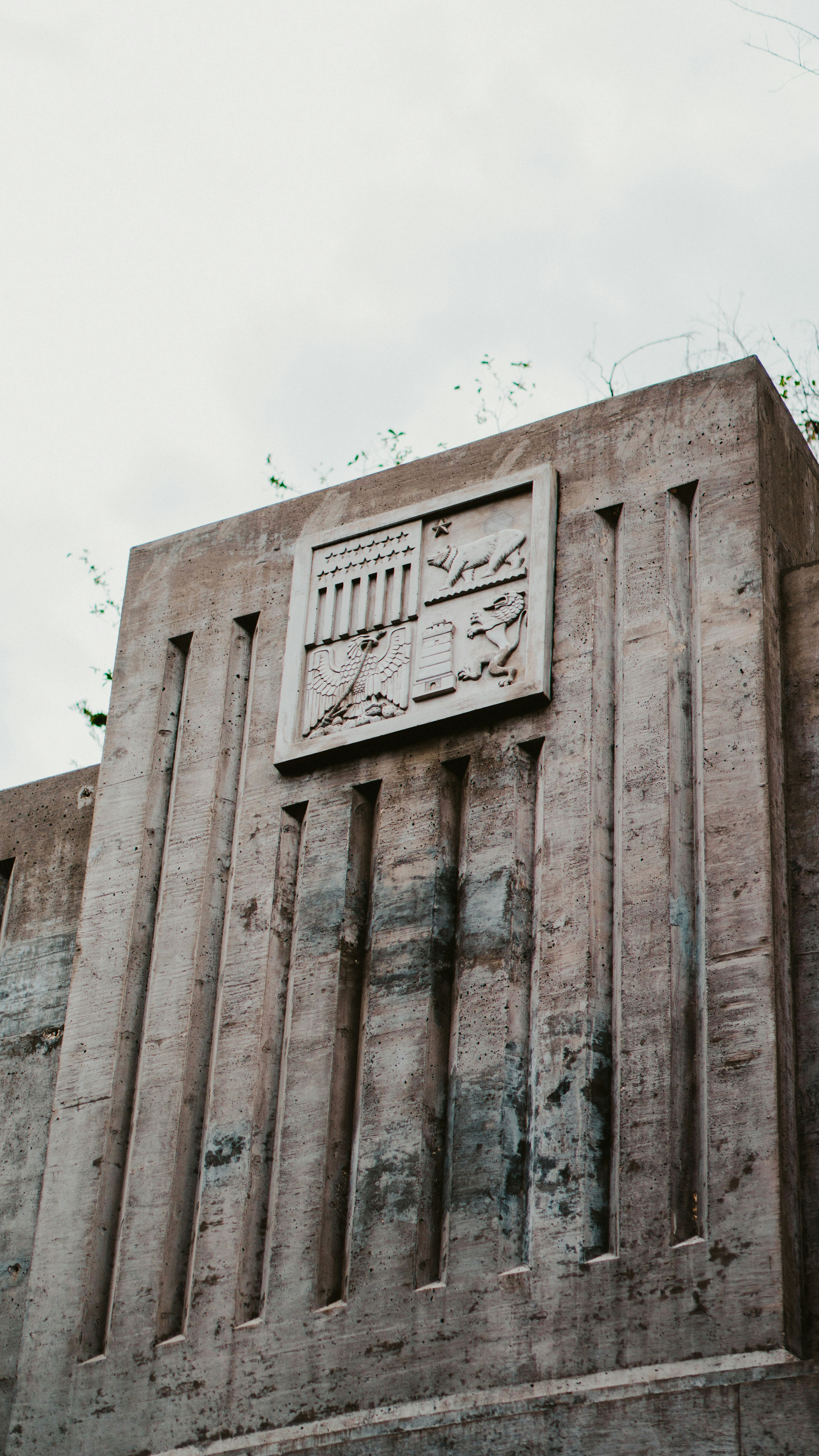 Weathered Crest on a Monolithic Wall