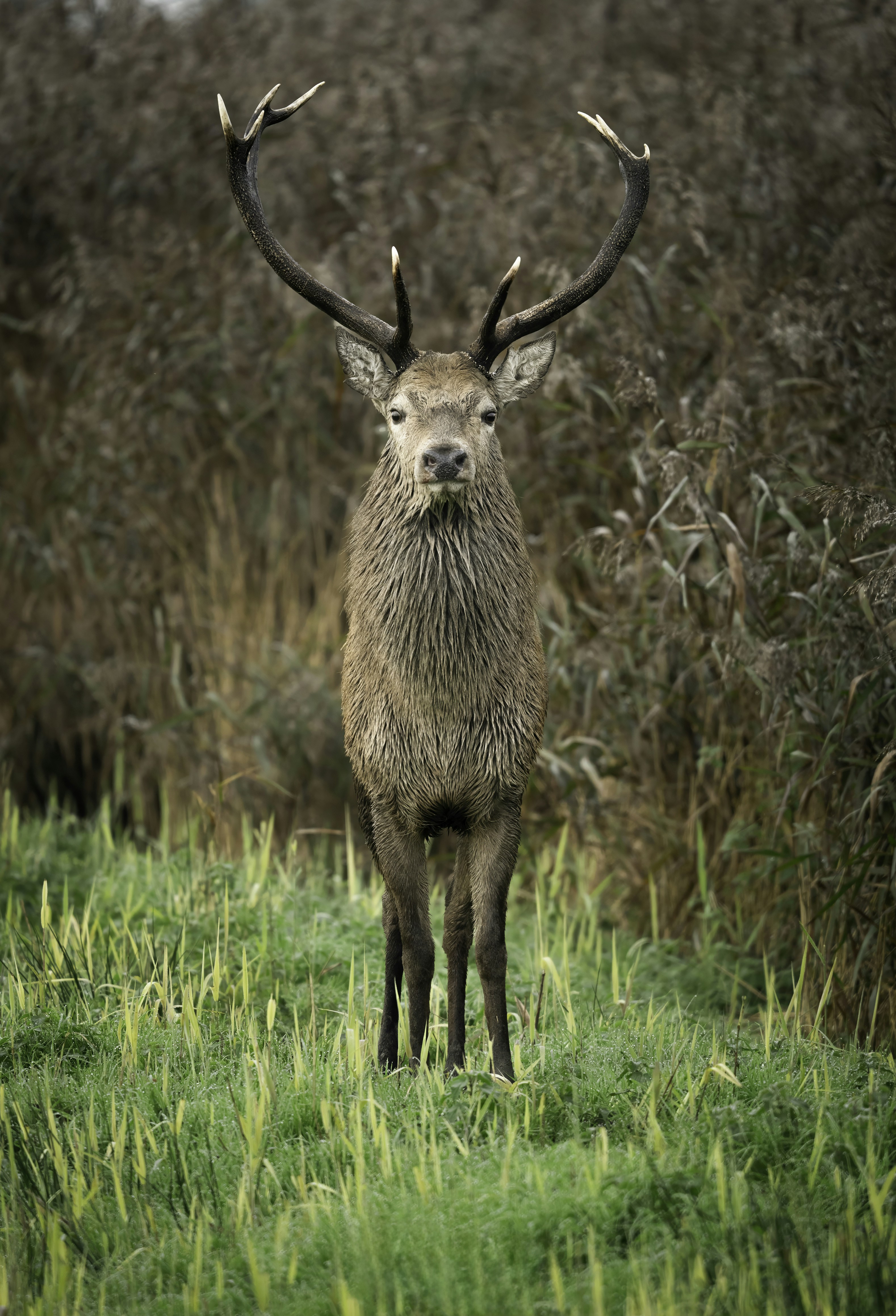 Photo by Jonny Gios with Sony Alpha 7R V