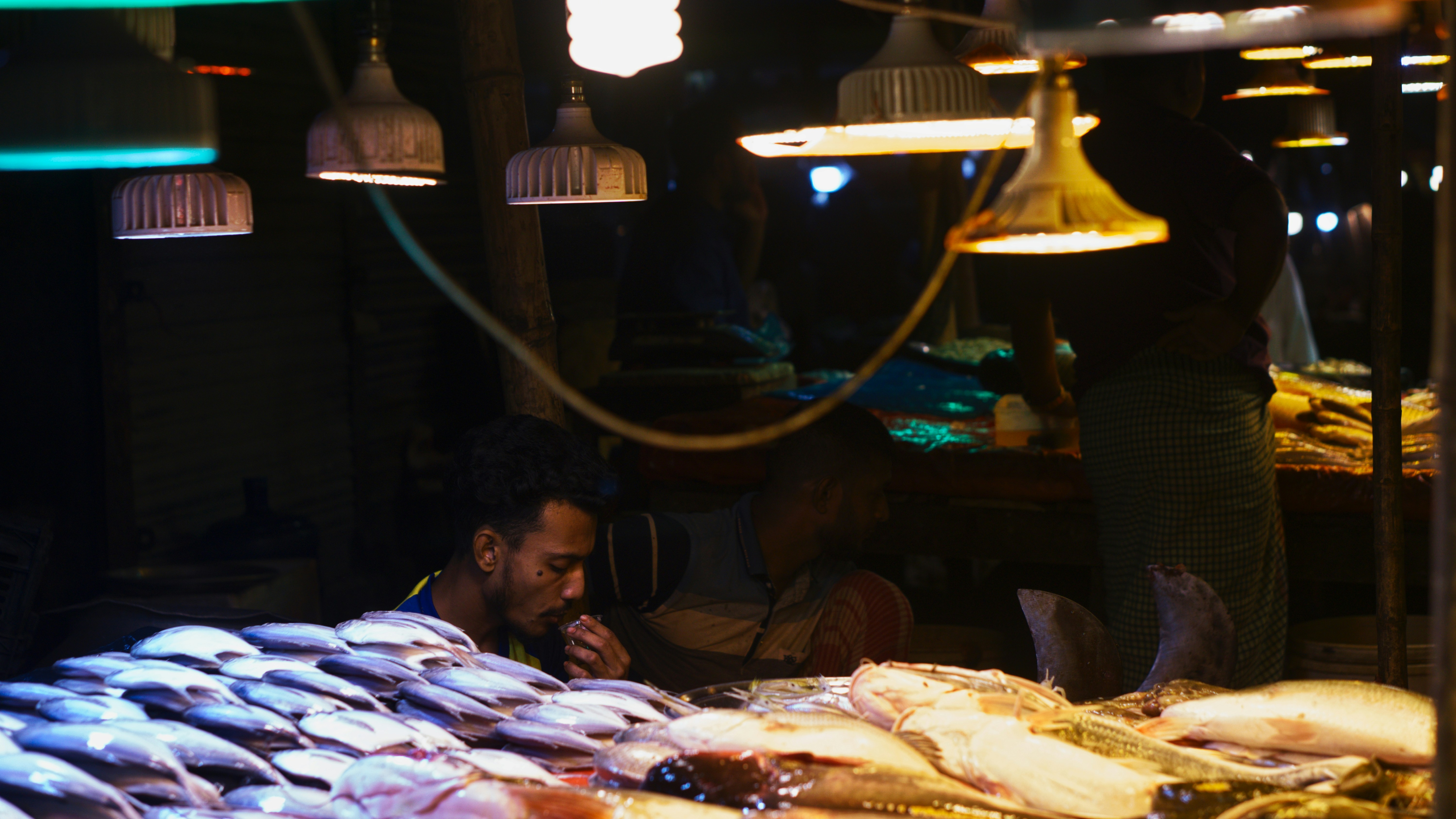 Midnight Market: Glimmering Fish Under Warm Lanterns