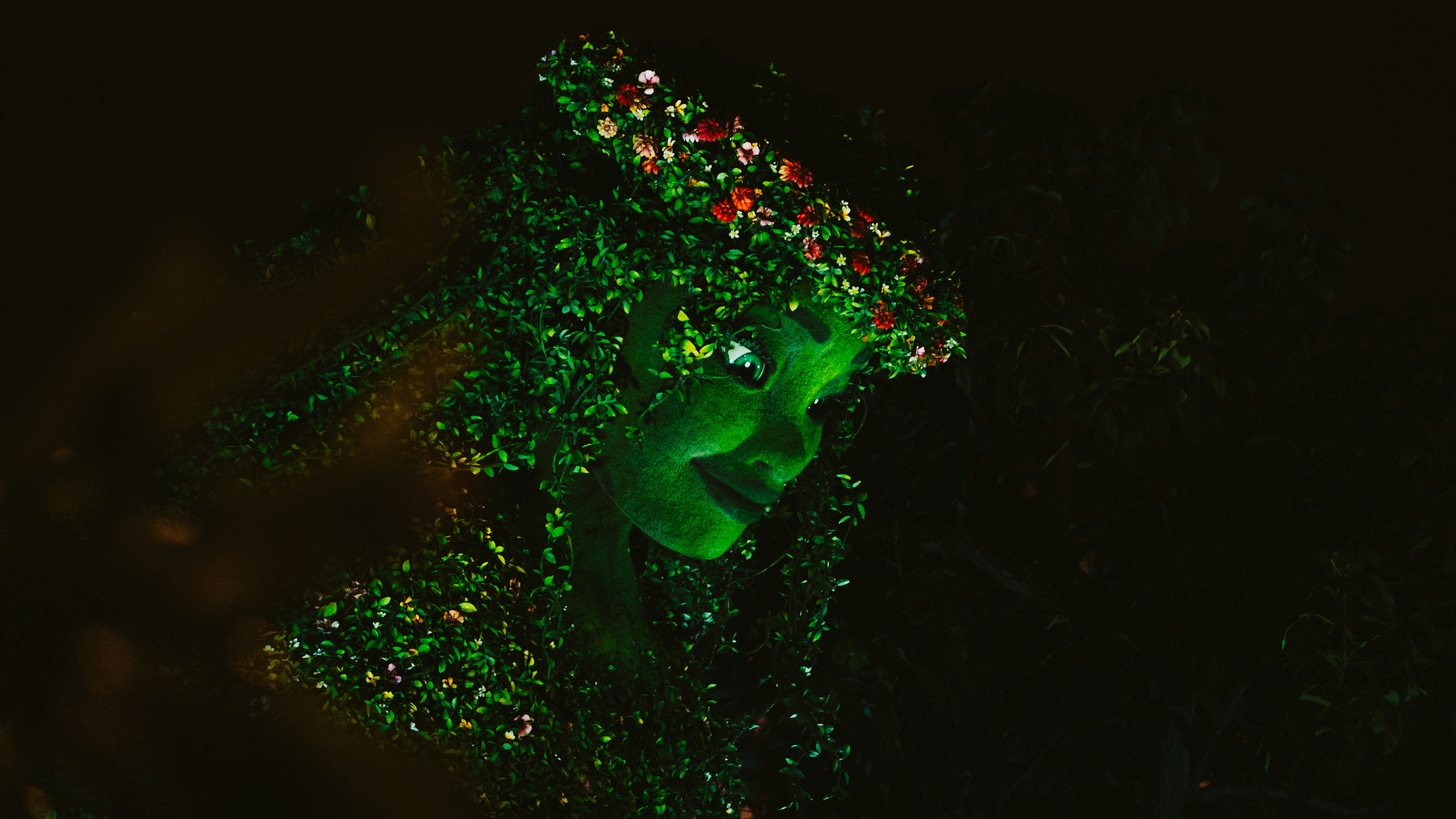 Emerald Veil Portrait in a Night Garden
